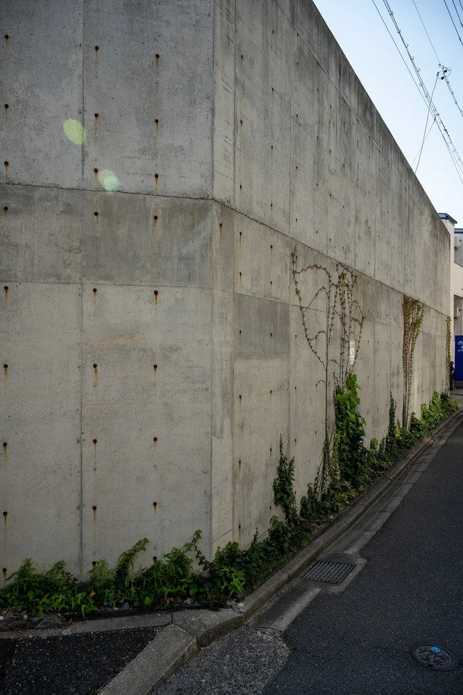 Sako House | The Radical Project