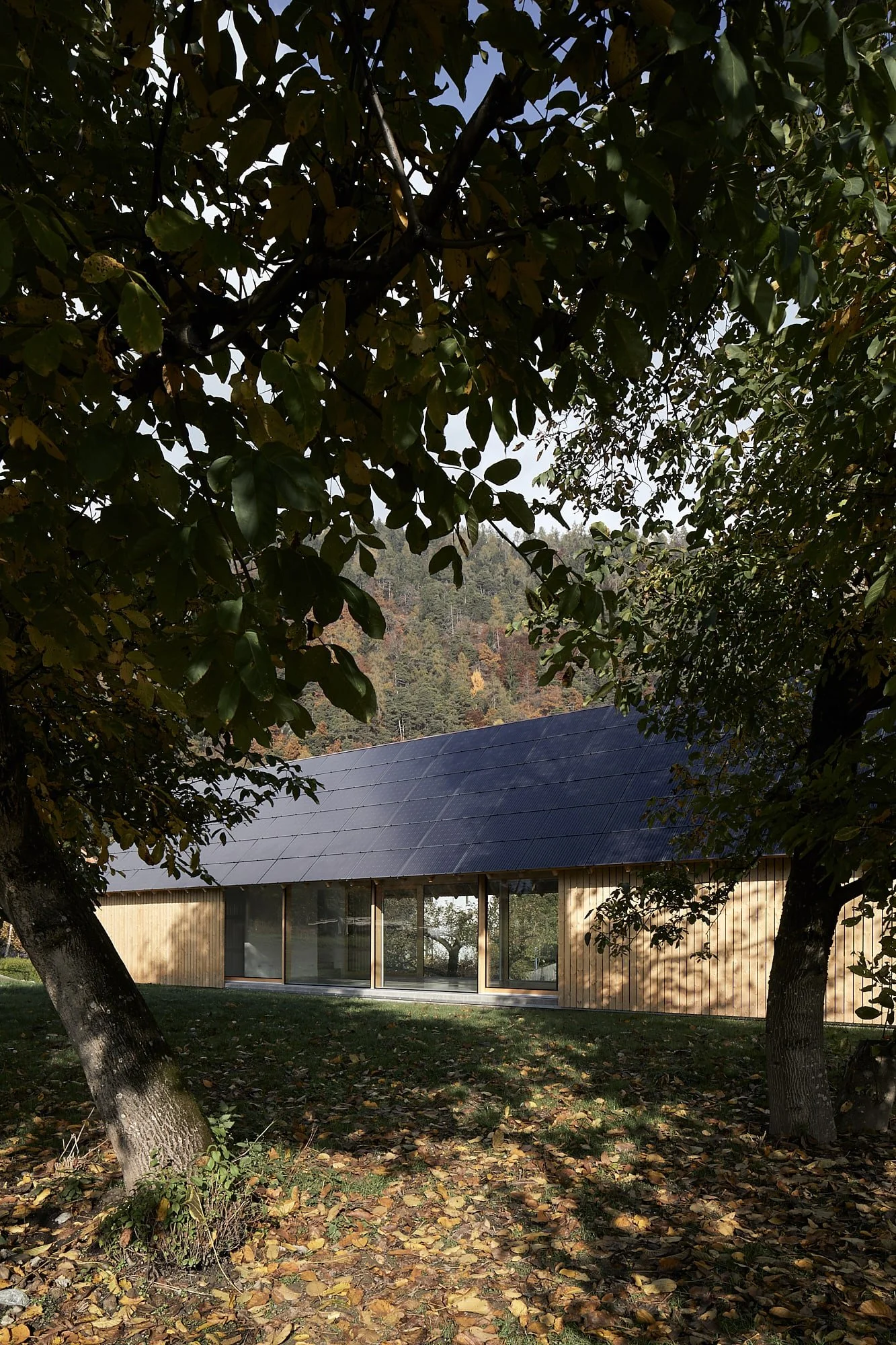 House Schneller Bader — The Radical Project