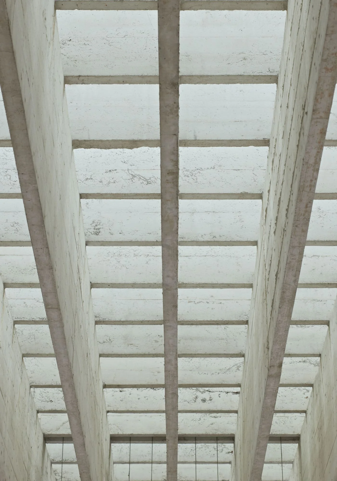 Nordic Pavilion in Venice | The Radical Project