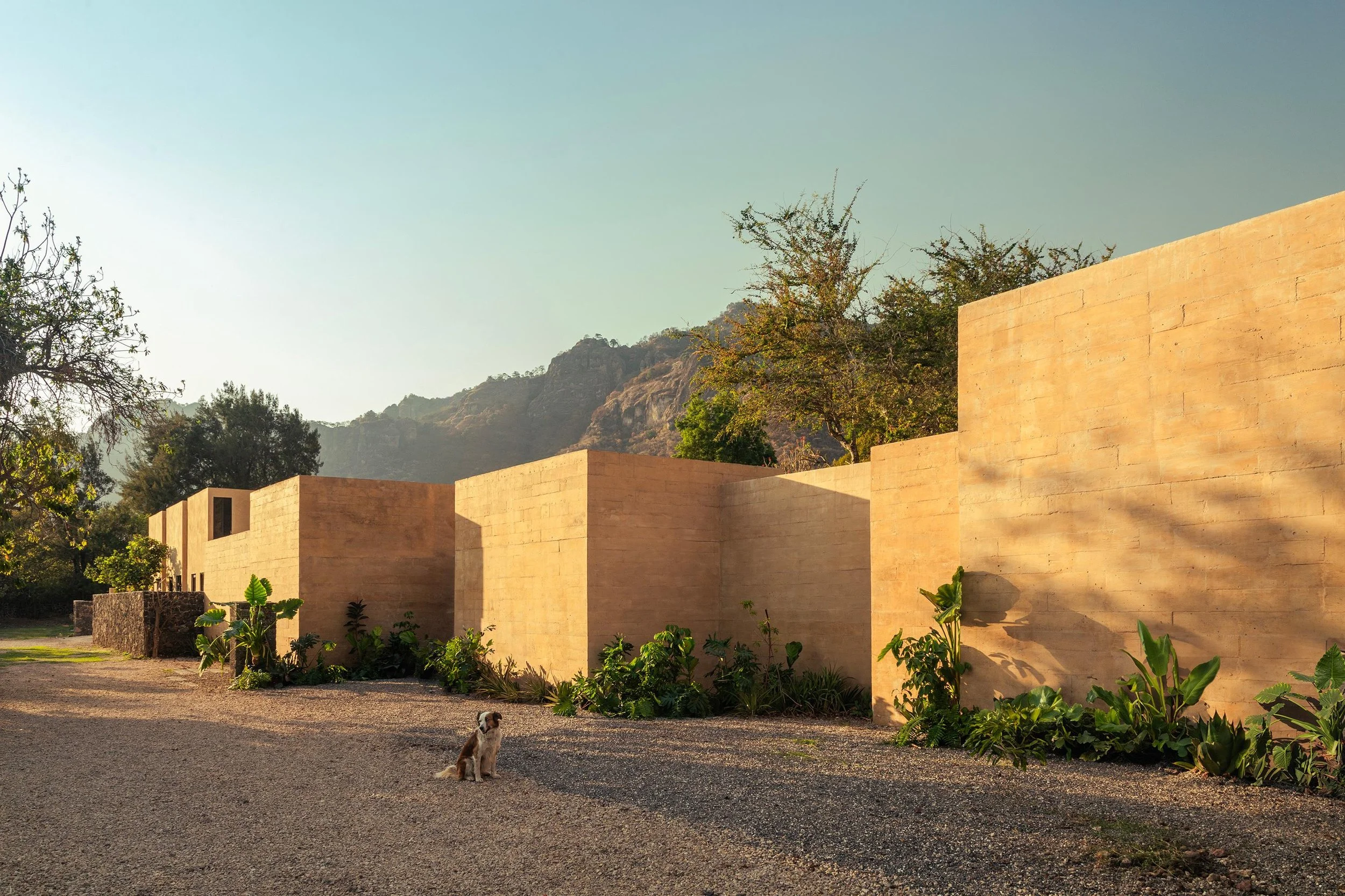 LL House By RA! | The Radical Project