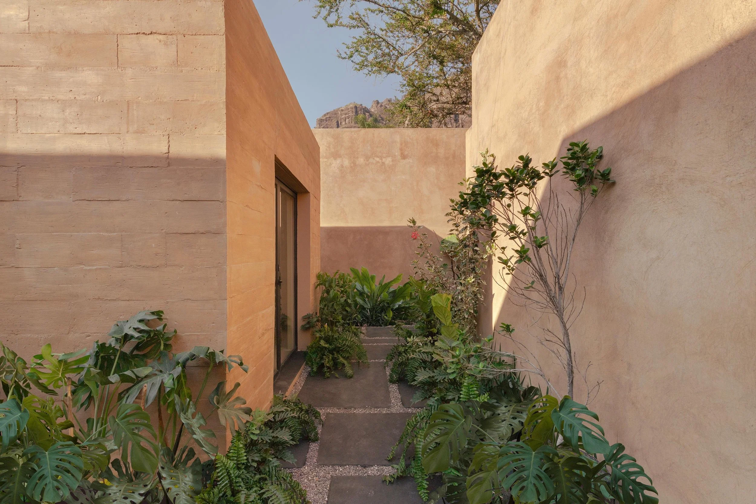 LL House By RA! | The Radical Project