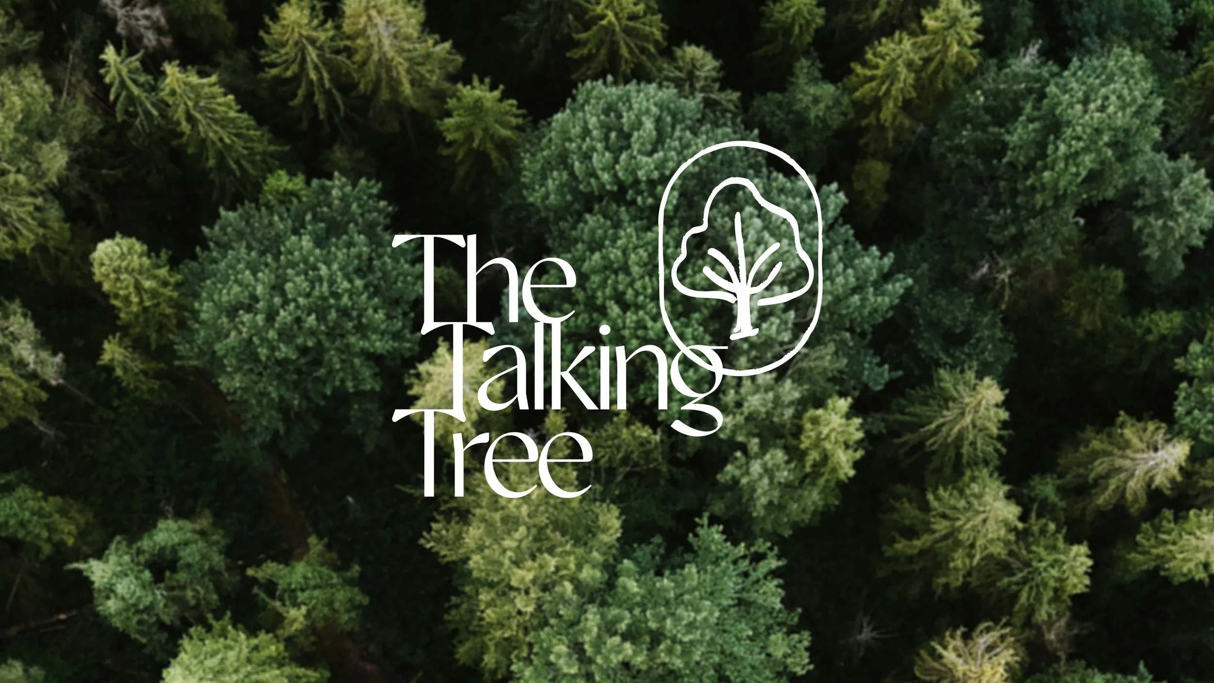 The Talking Tree — AfN