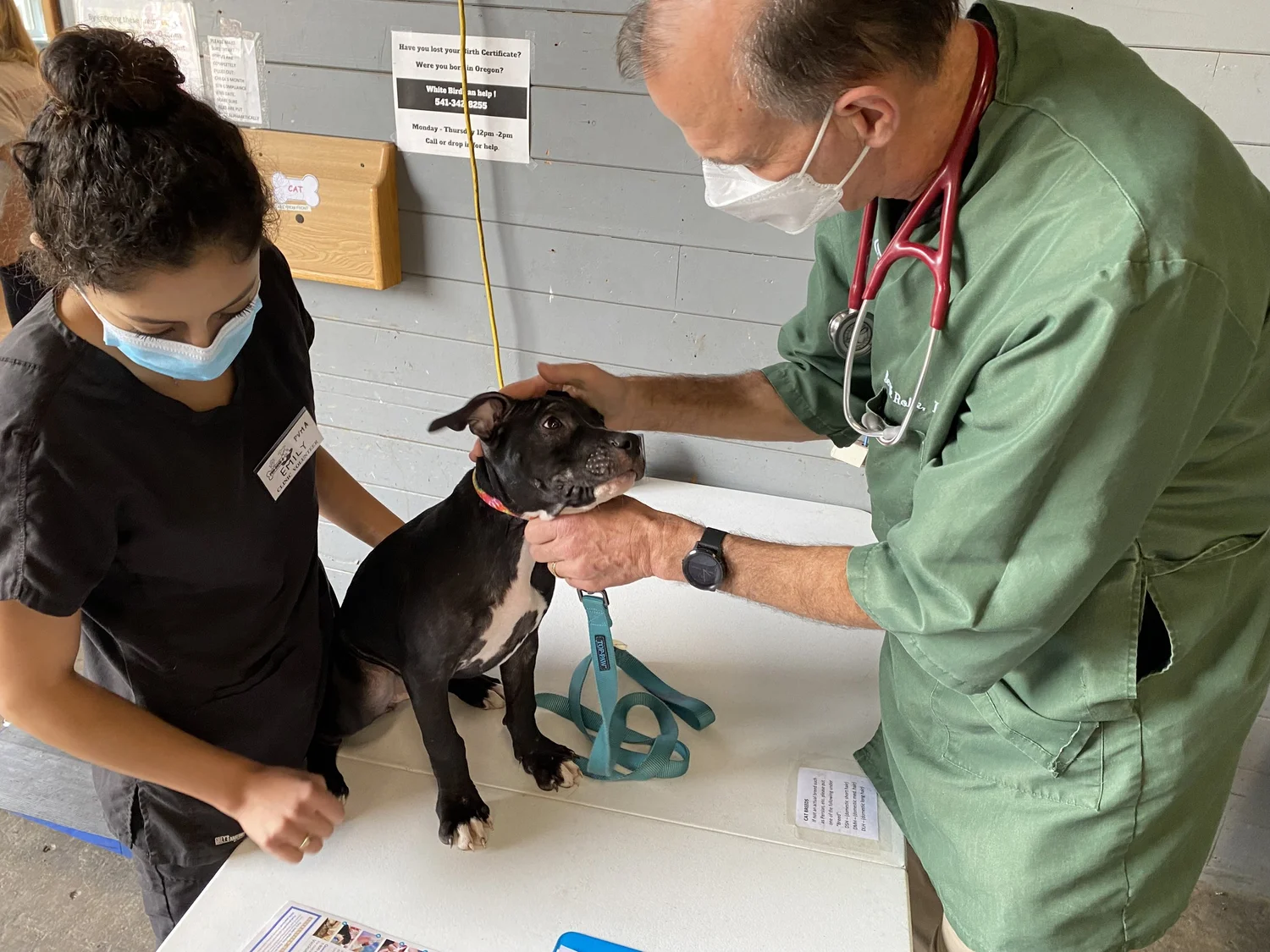 Clinic Details — Pro-Bone-O