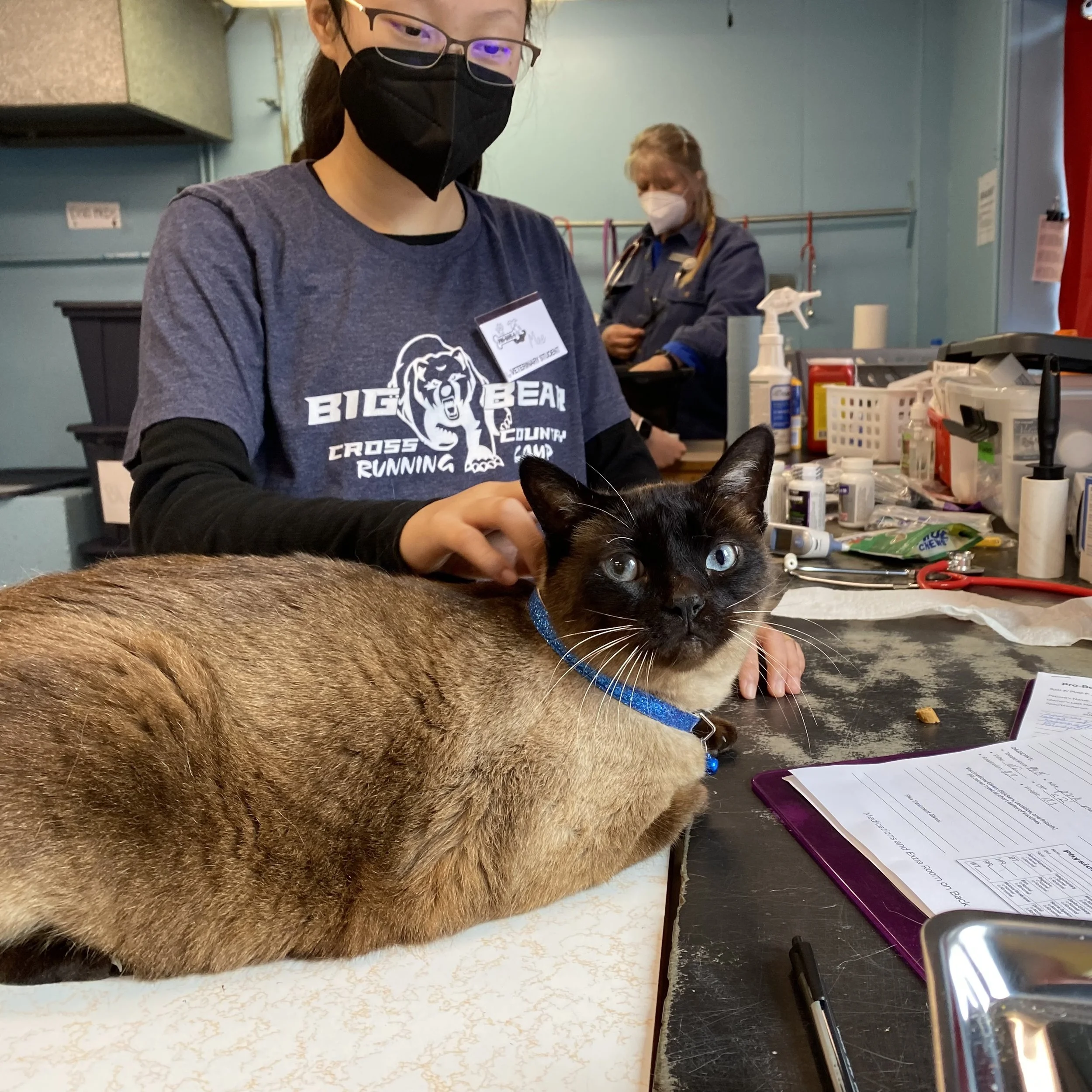 Clinic Details — Pro-Bone-O