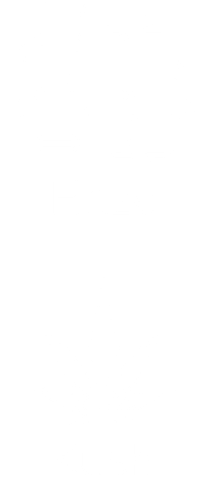 One to One — BioScision Pharma