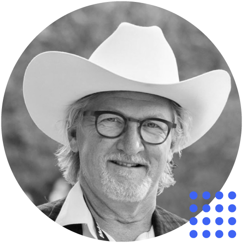 Steve Bryan — Bluewire