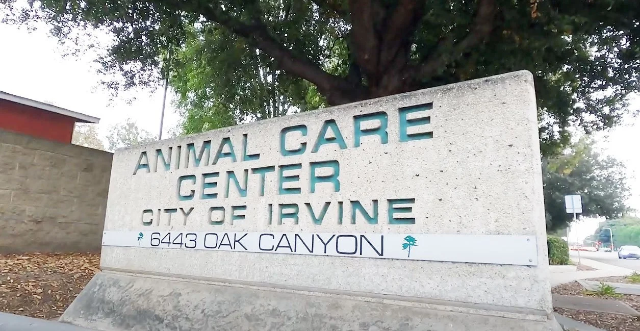 Office of Councilmember Mike Carroll