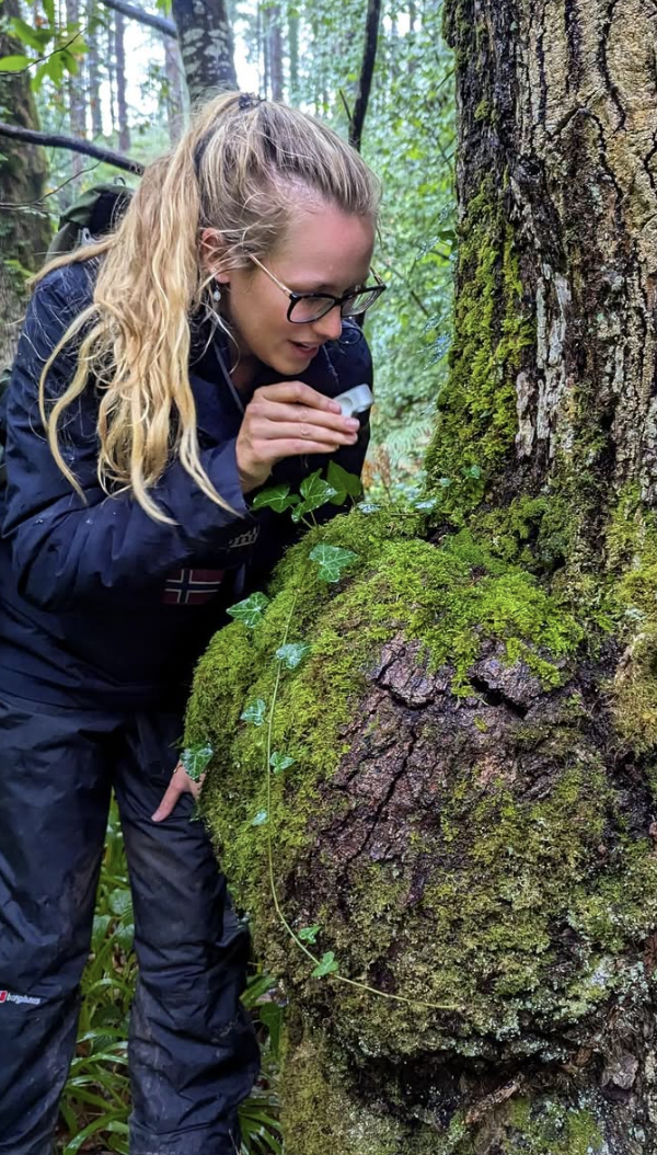 Lichens: The Tiny Organisms That Reveal the Health of Our Planet — The ...