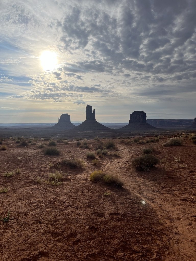 Overwhelmed Professional/Entrepreneur? Thrive with Career and Health ...