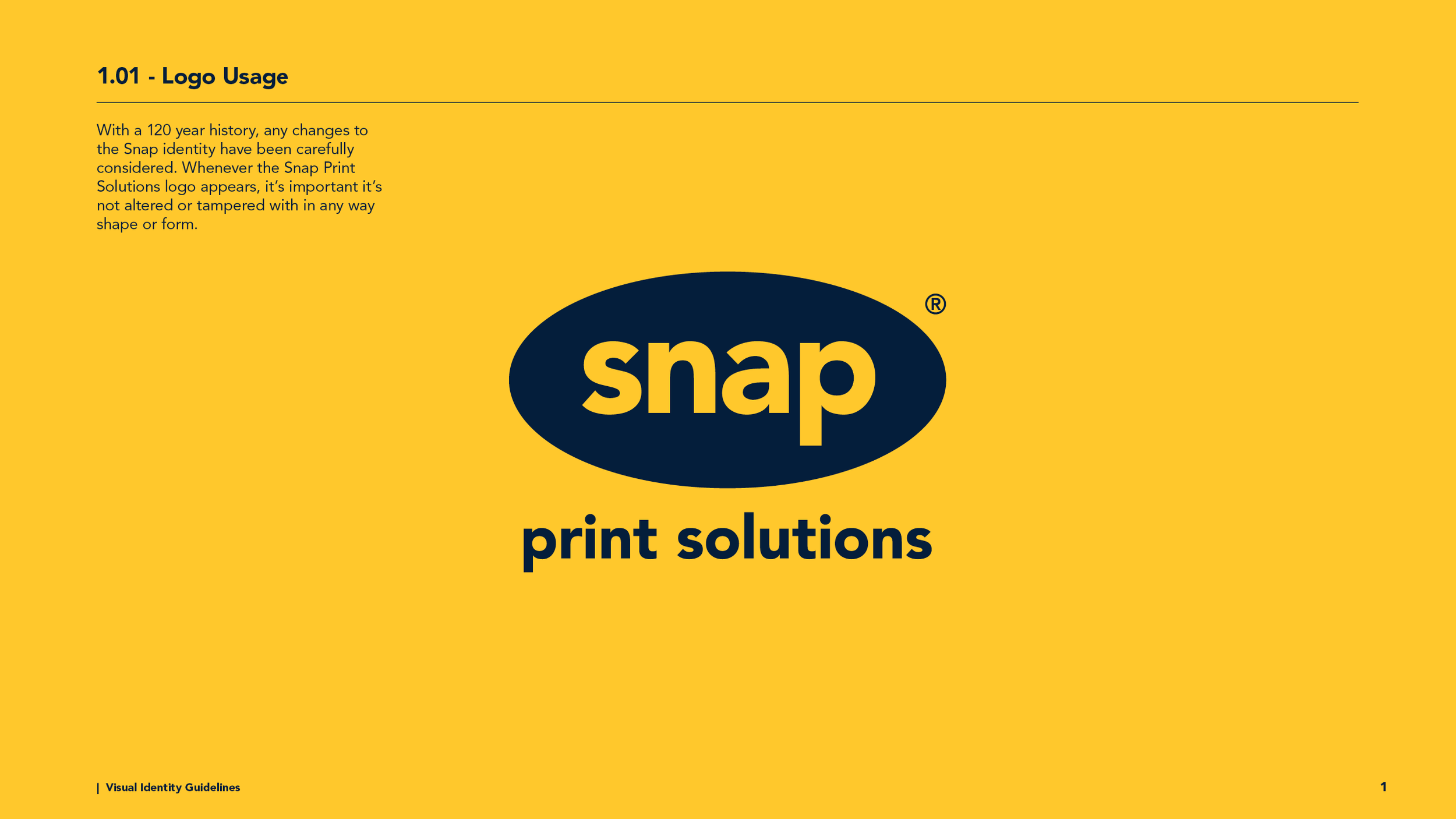 Snap Visual Identity — Terry Davidson