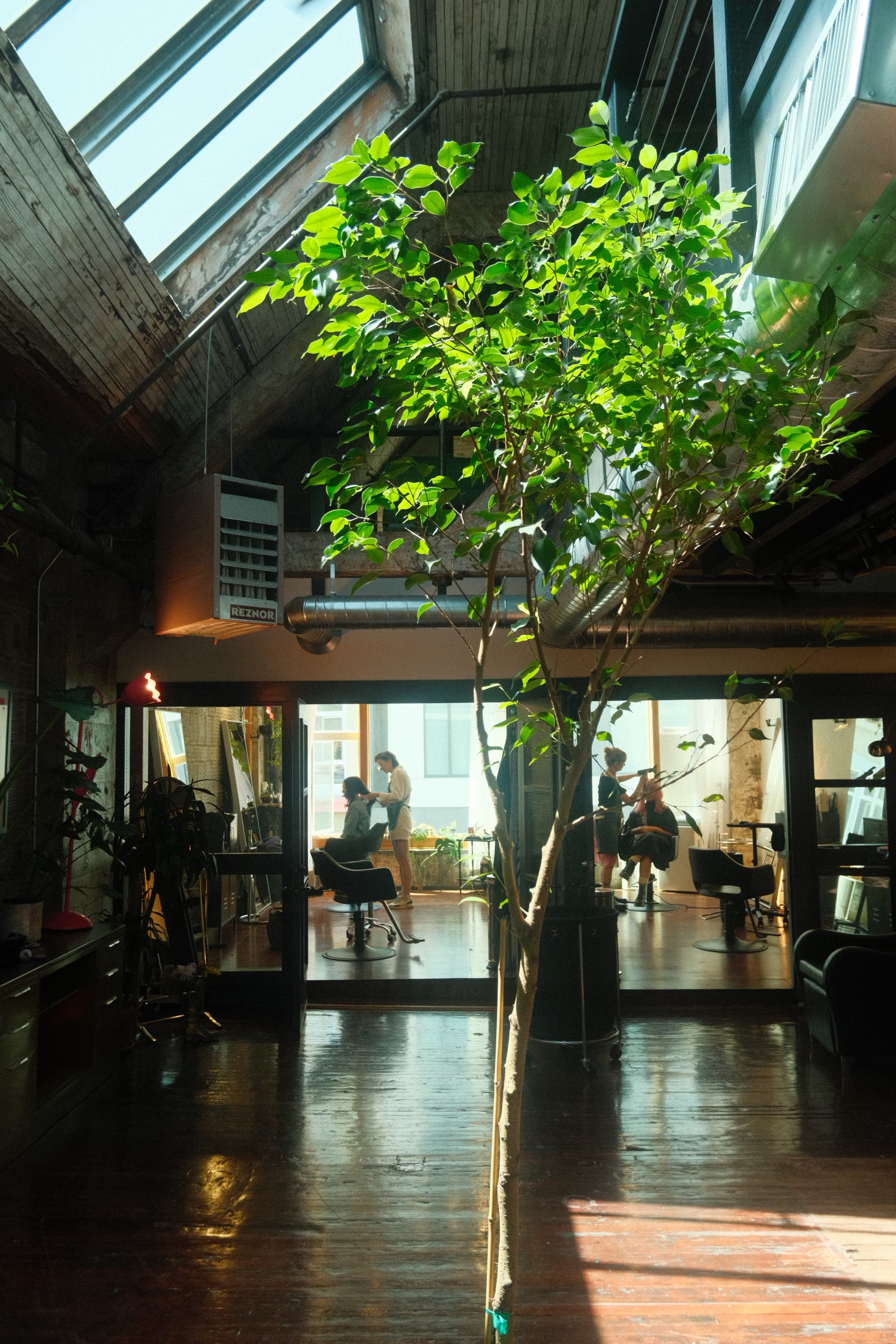 Treehouse Salon Seattle | Capitol Hill Salon for Custom Cuts & Color