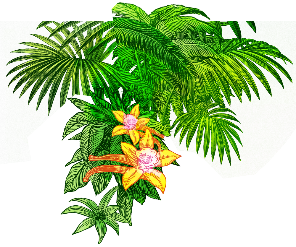 GOATz SPICED RUM - Smooth, bold, delicious. — SPIRIT OF THE DAO