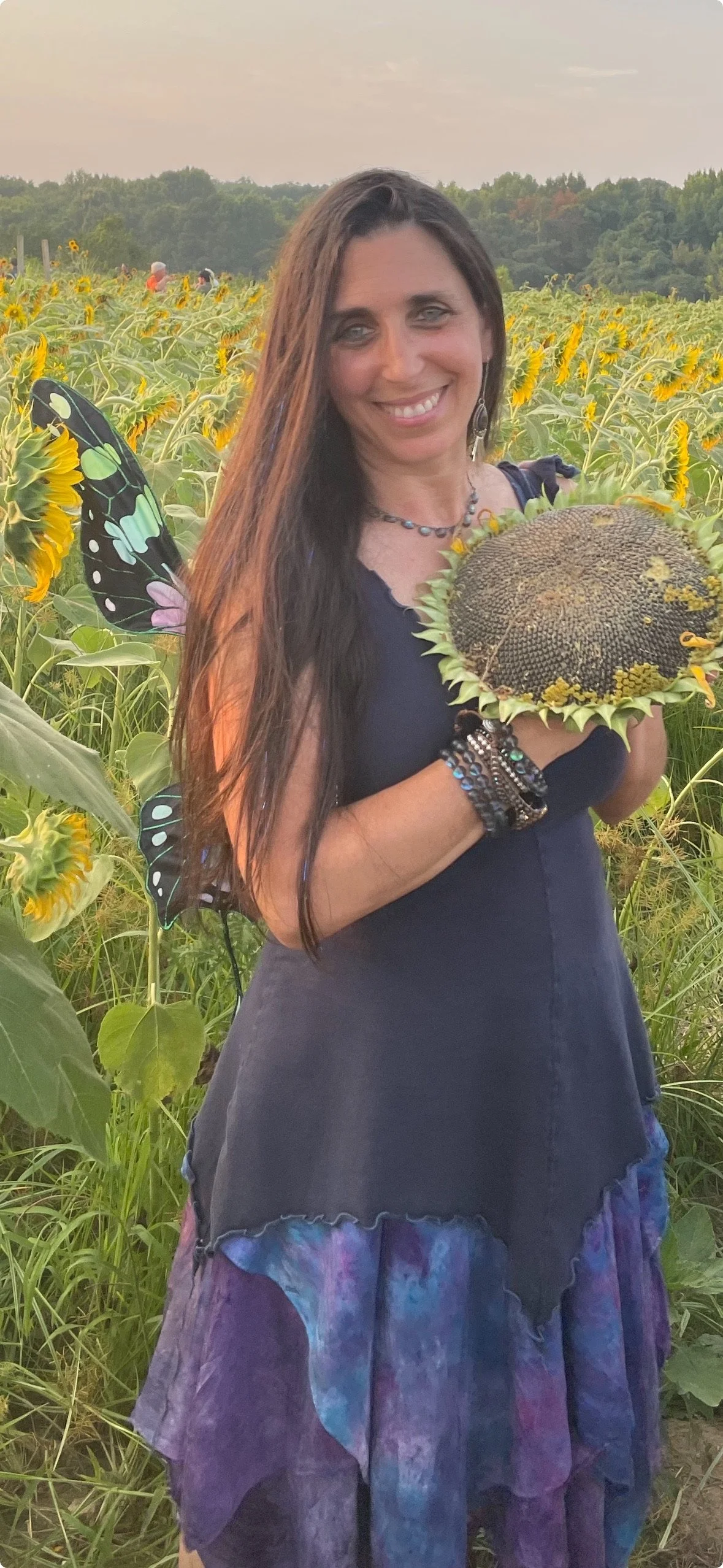Meet The Fairies Of Fairy Hair Flare — Fairy Hair Flare