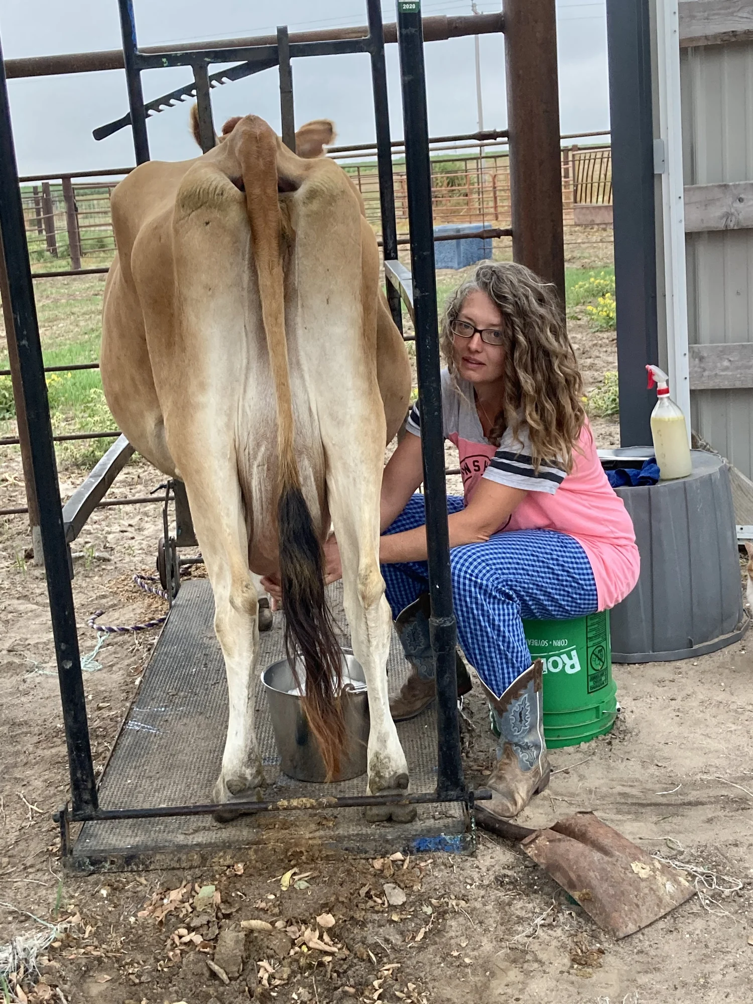 About | Family Owned & Operated — Champion Valley Farm