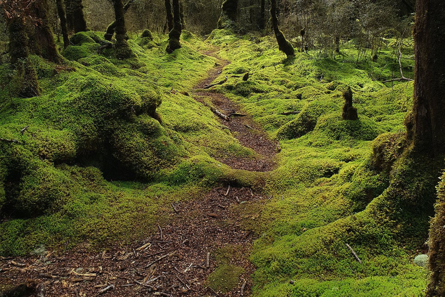 Contact Packback Rent Premium Hiking Gear Food Packs Plbs Nz