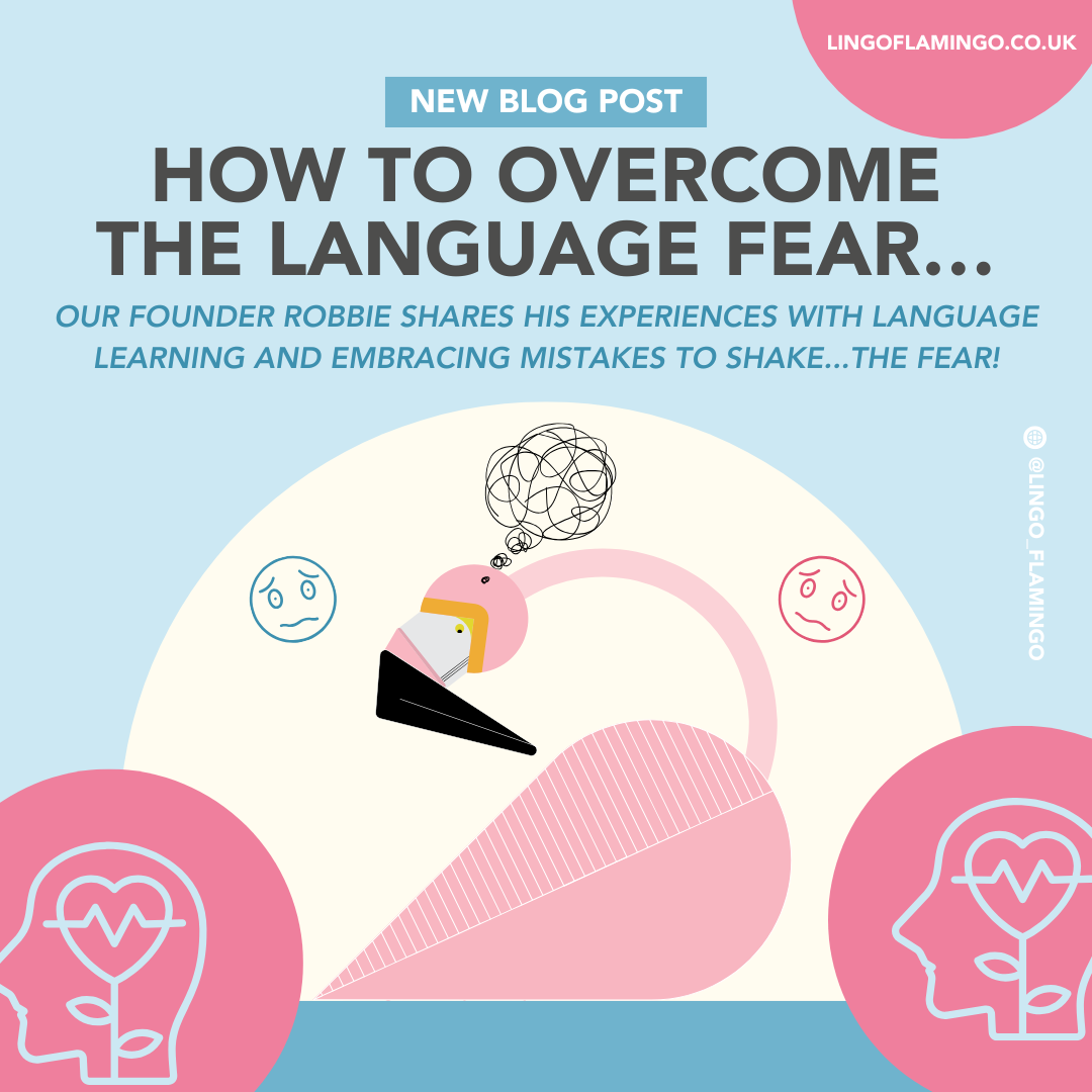 Lingo Flamingo | Language Classes In Glasgow & Online