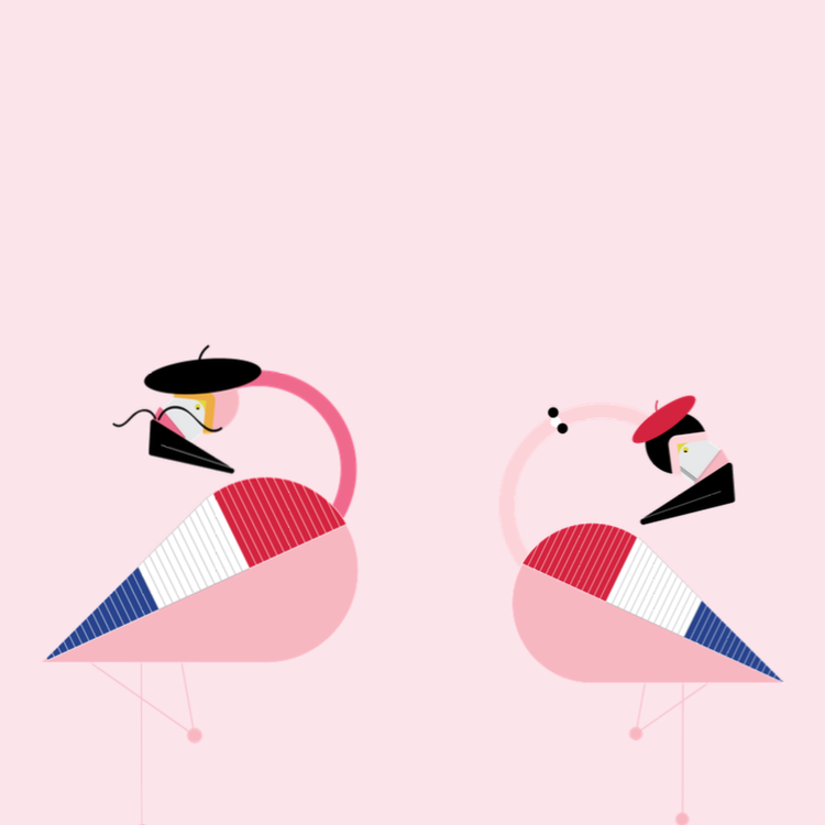 Book Classes | Lingo Flamingo | Language Classes For All!