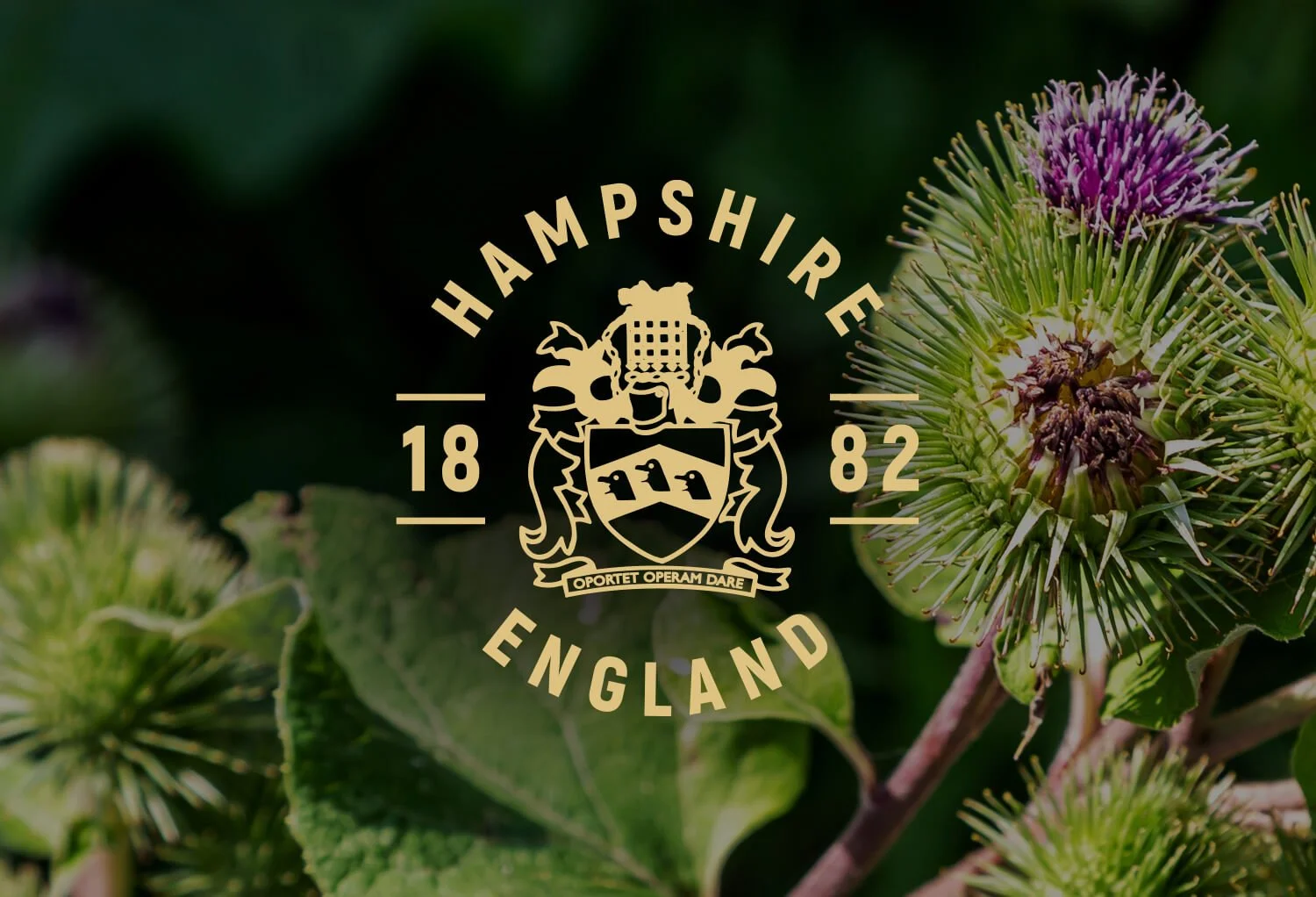 Dandelion & Burdock — Hartridges