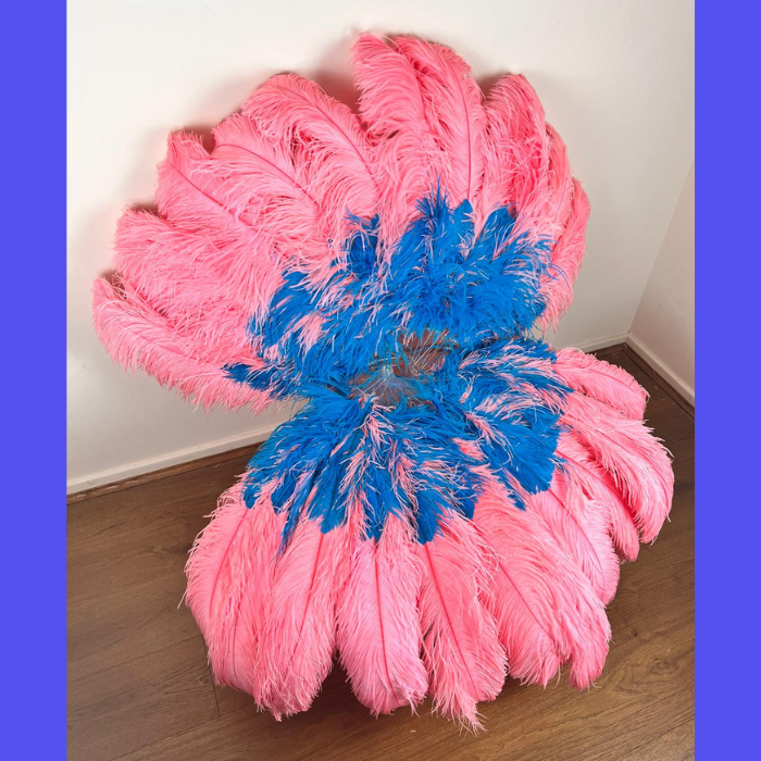 Gallery 1 — The Feather Parade