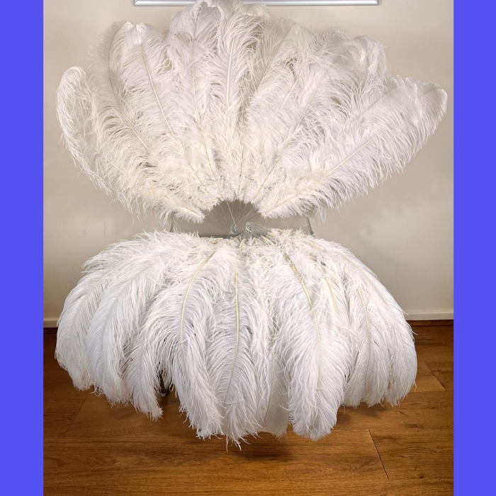 Gallery 1 — The Feather Parade
