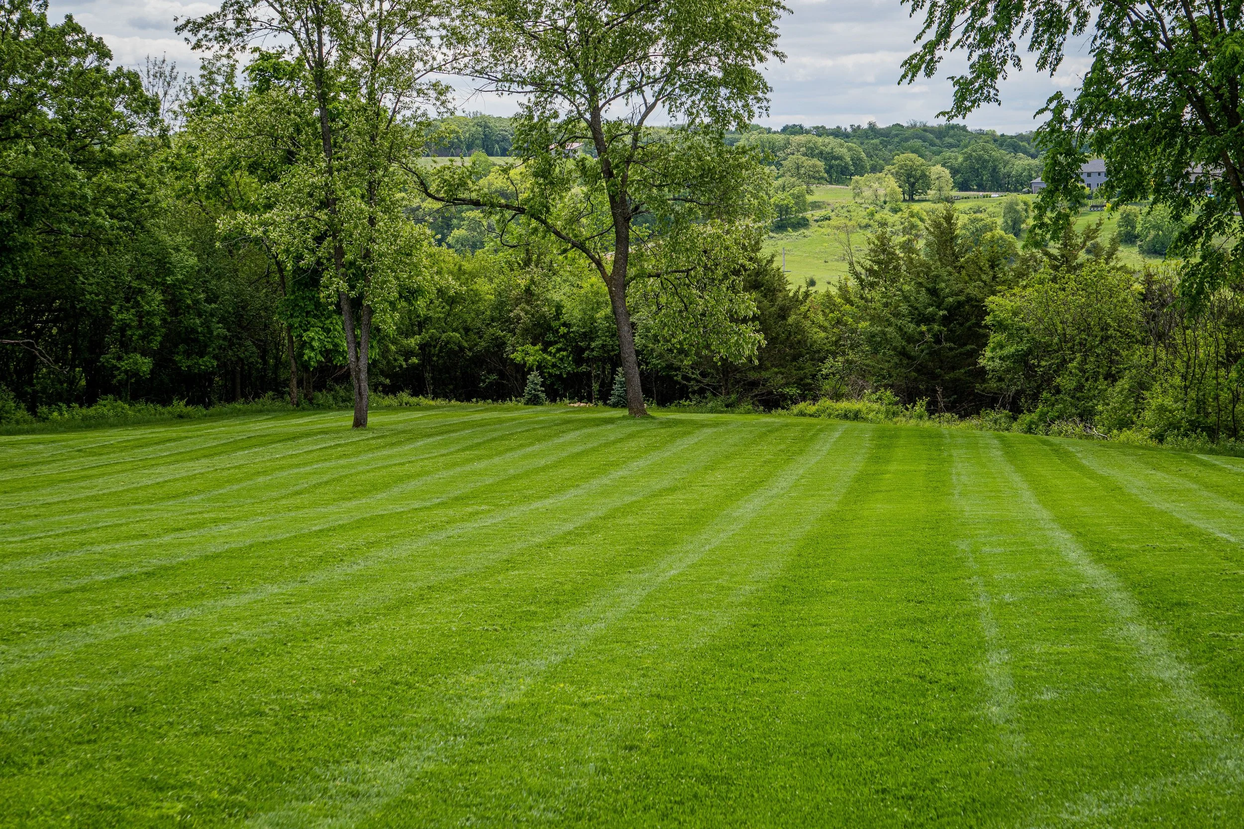 Specialty Lawn Care Services — River City Lawnscape