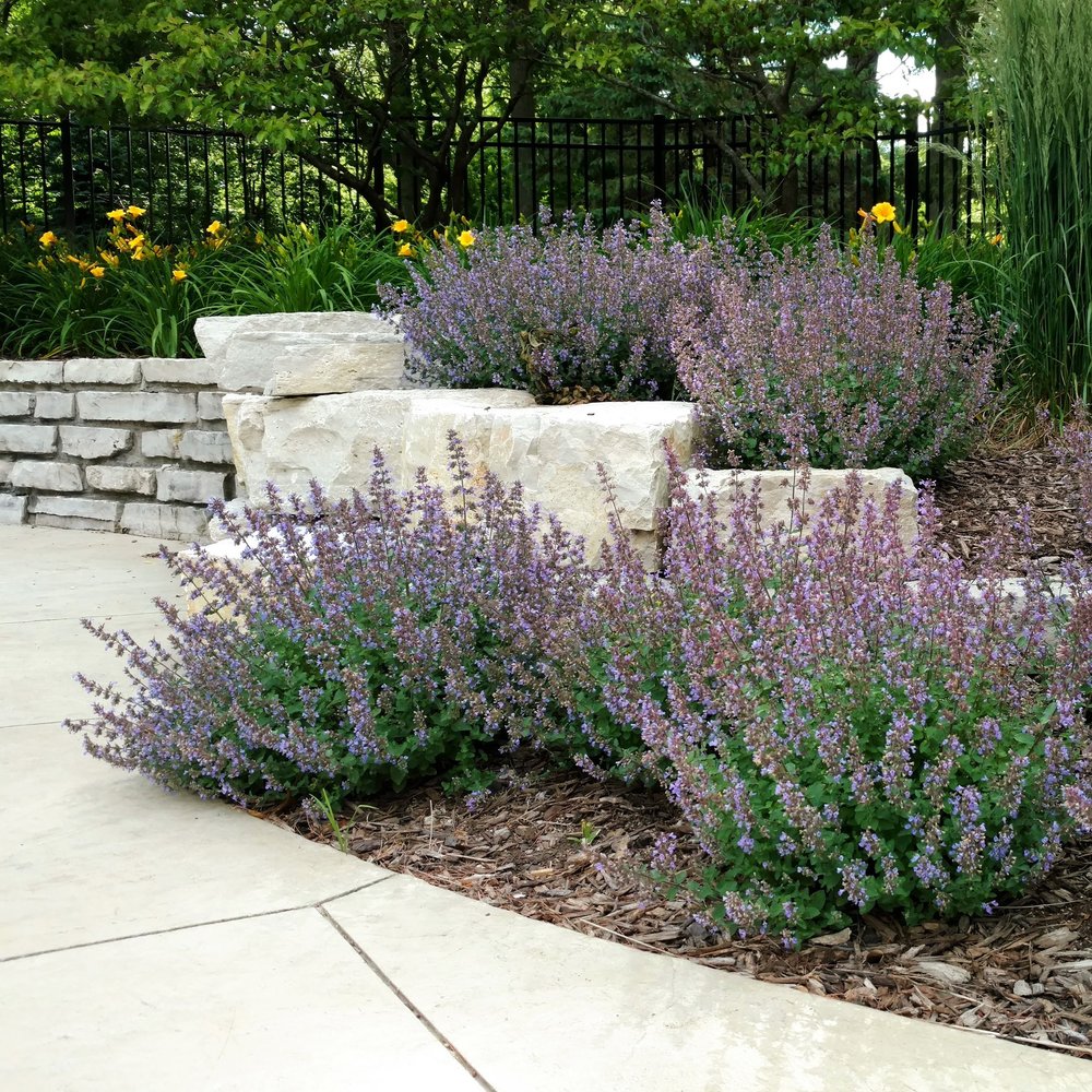PORTFOLIO — Brookside Landscapes