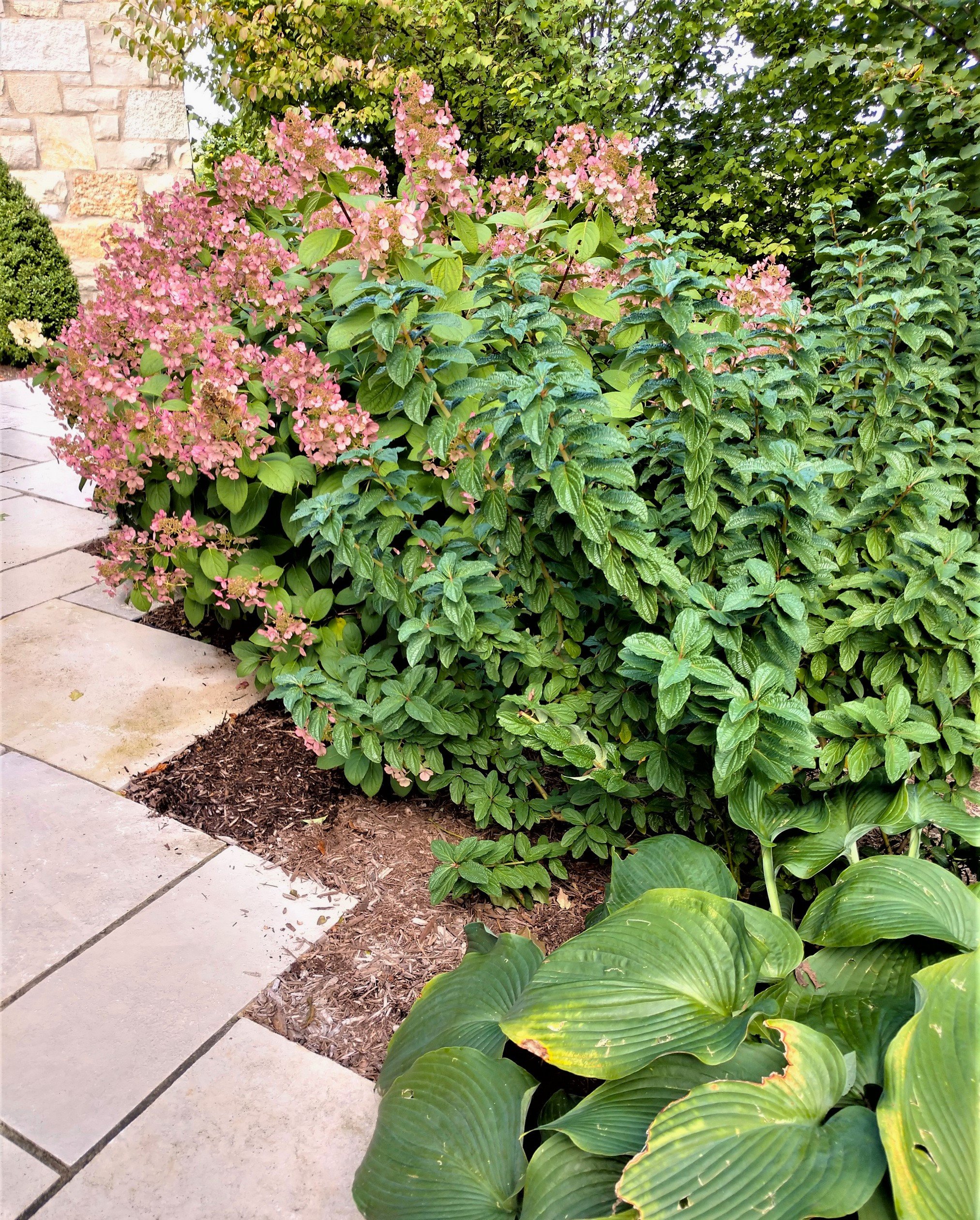 PLANTINGS — Brookside Landscapes