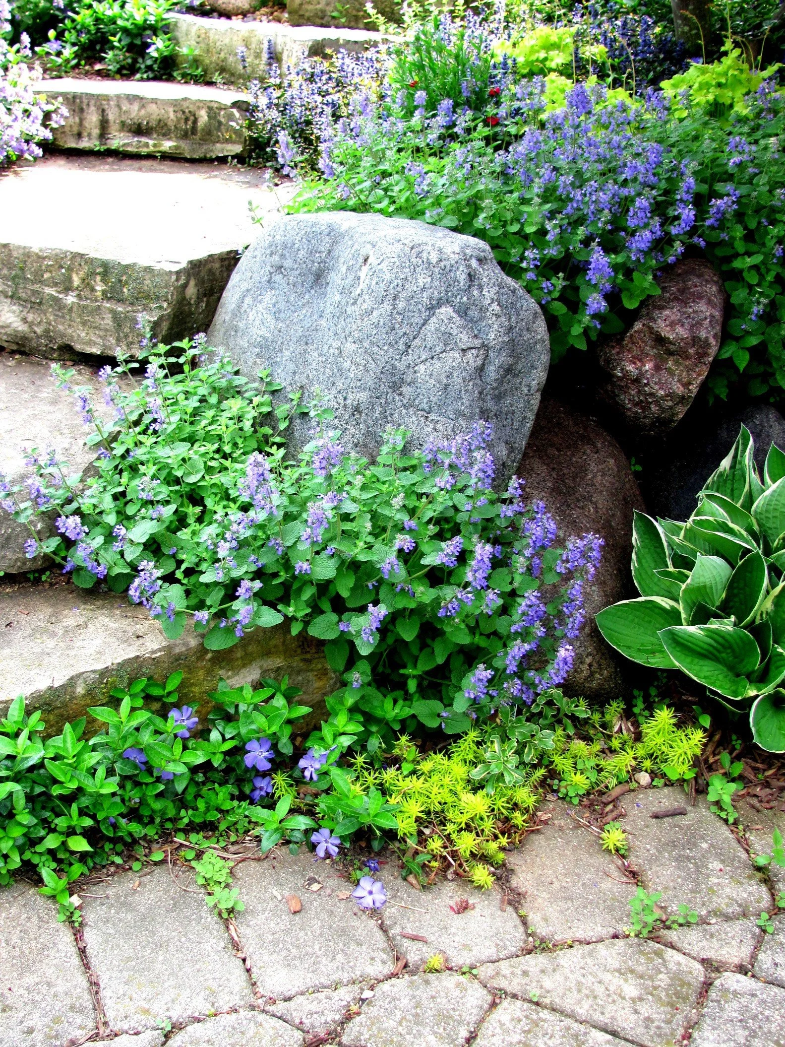 Landscape Maintenance — Brookside Landscapes