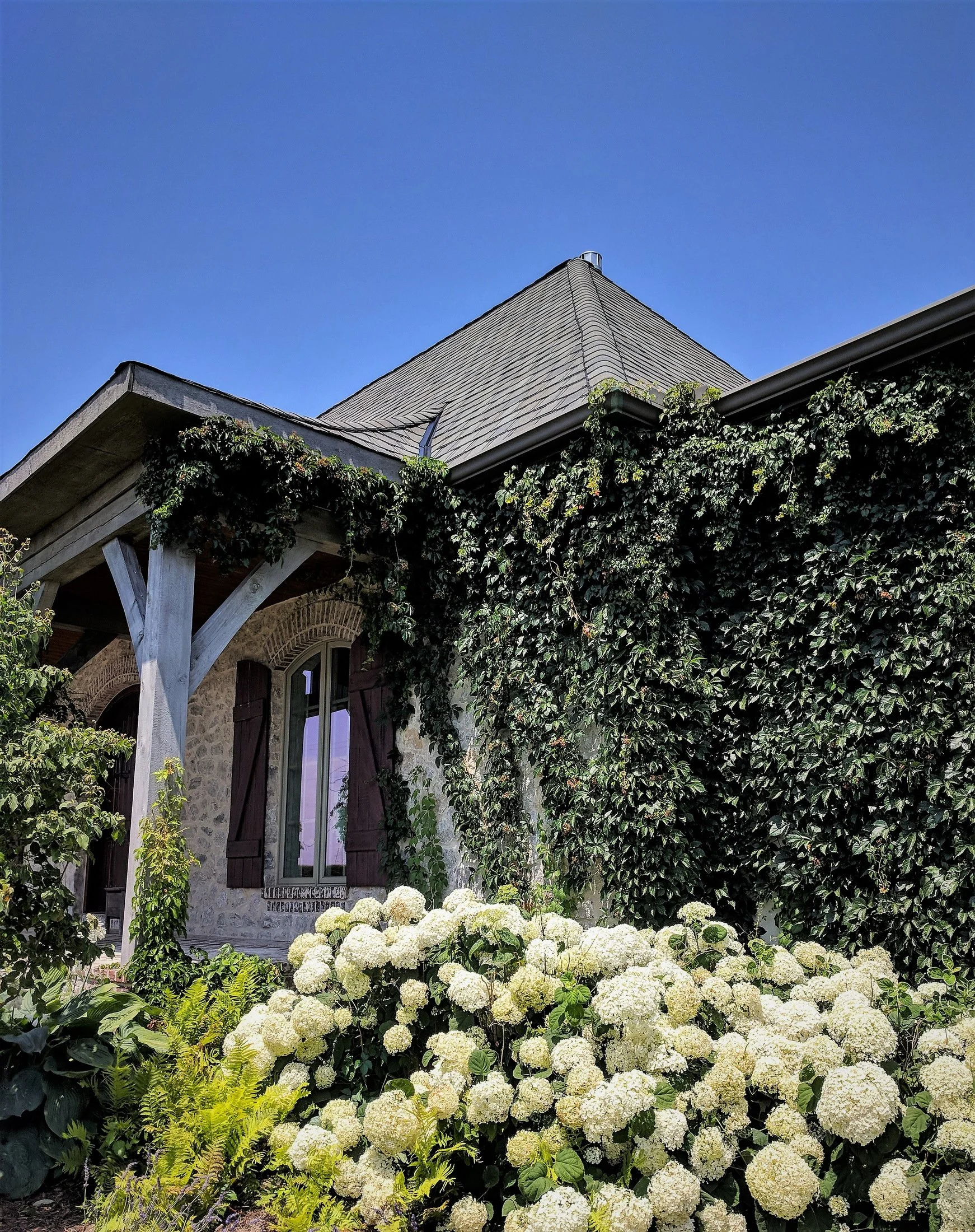 PLANTINGS — Brookside Landscapes