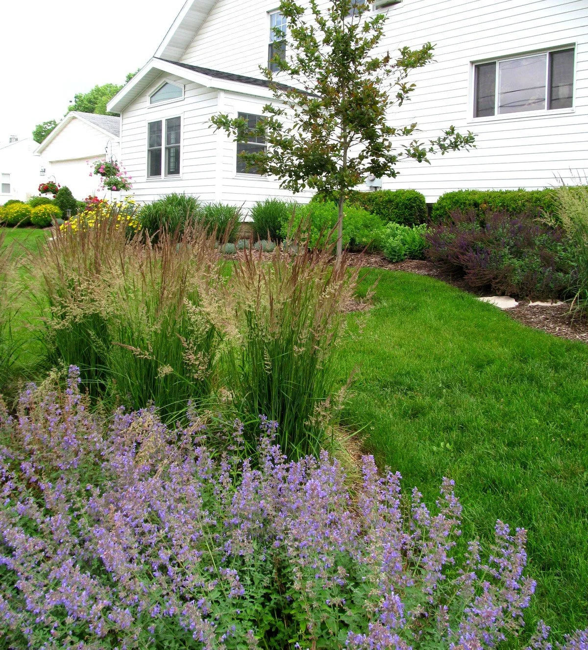 PLANTINGS — Brookside Landscapes