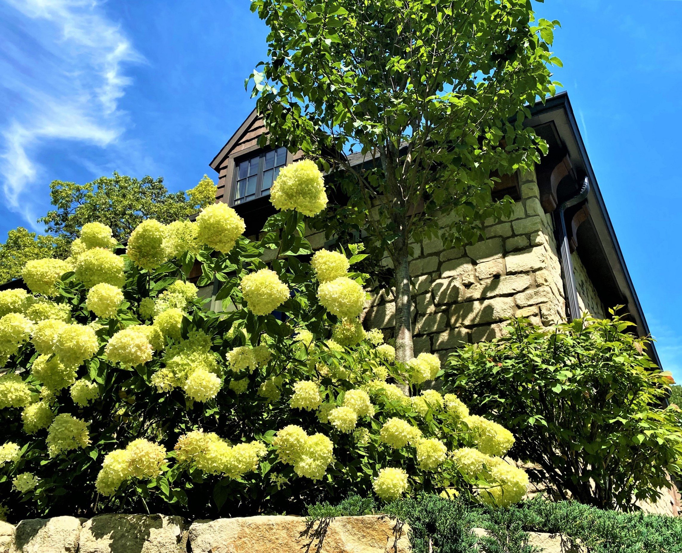 PLANTINGS — Brookside Landscapes