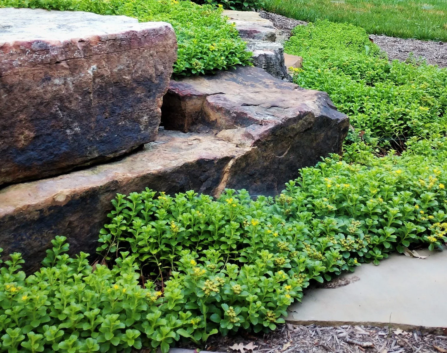 PLANTINGS — Brookside Landscapes