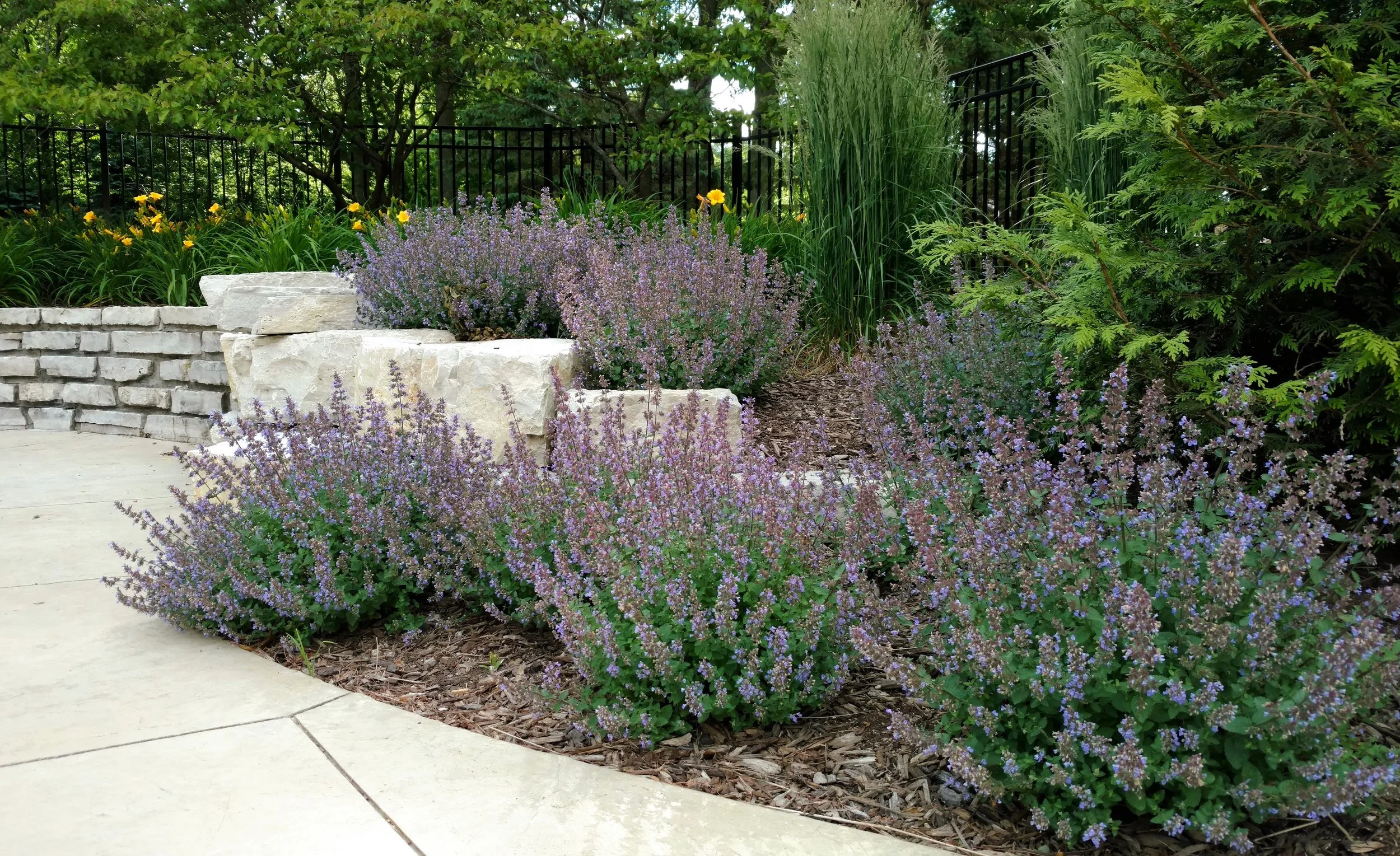 PLANTINGS — Brookside Landscapes