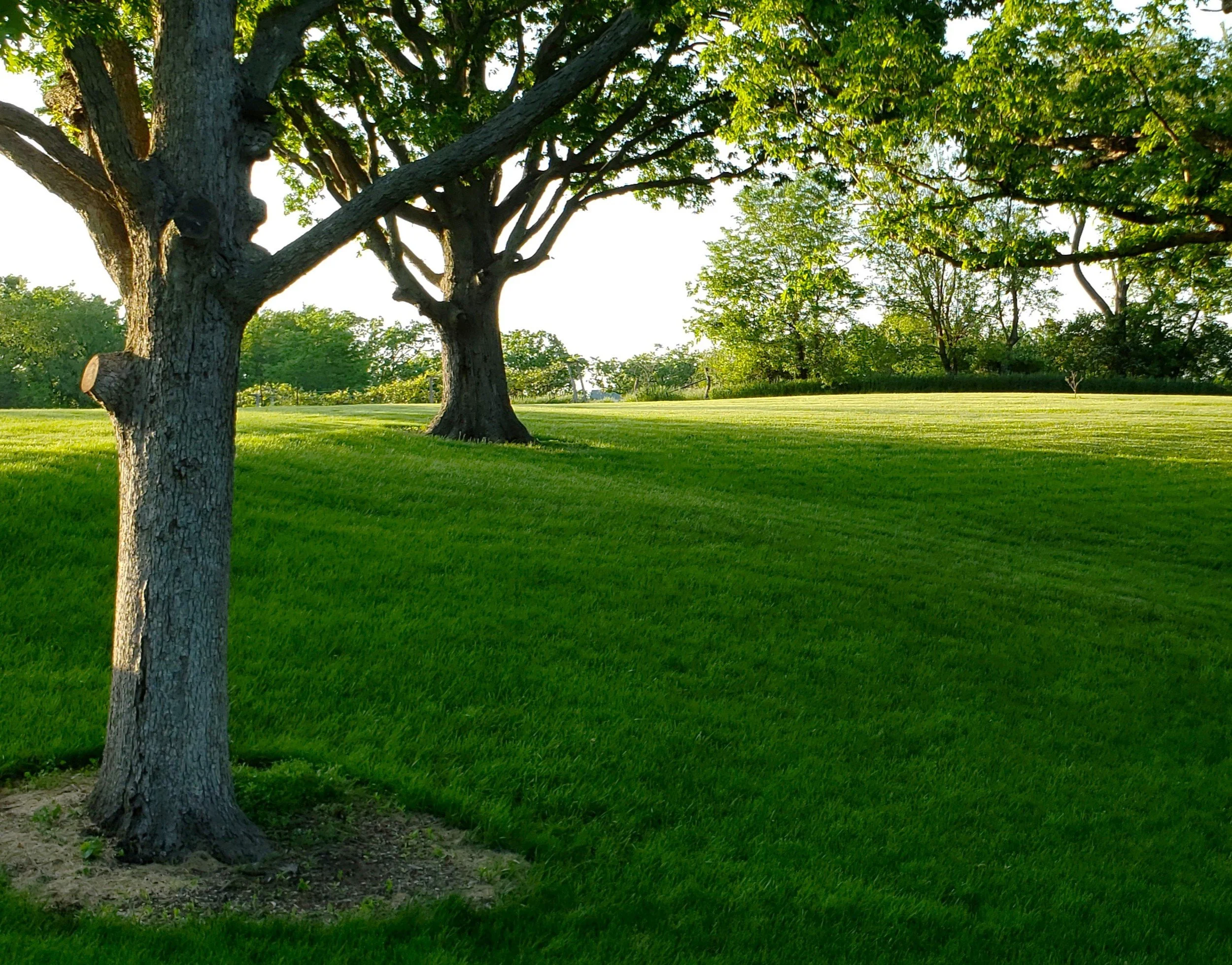 TURFGRASS — Brookside Landscapes