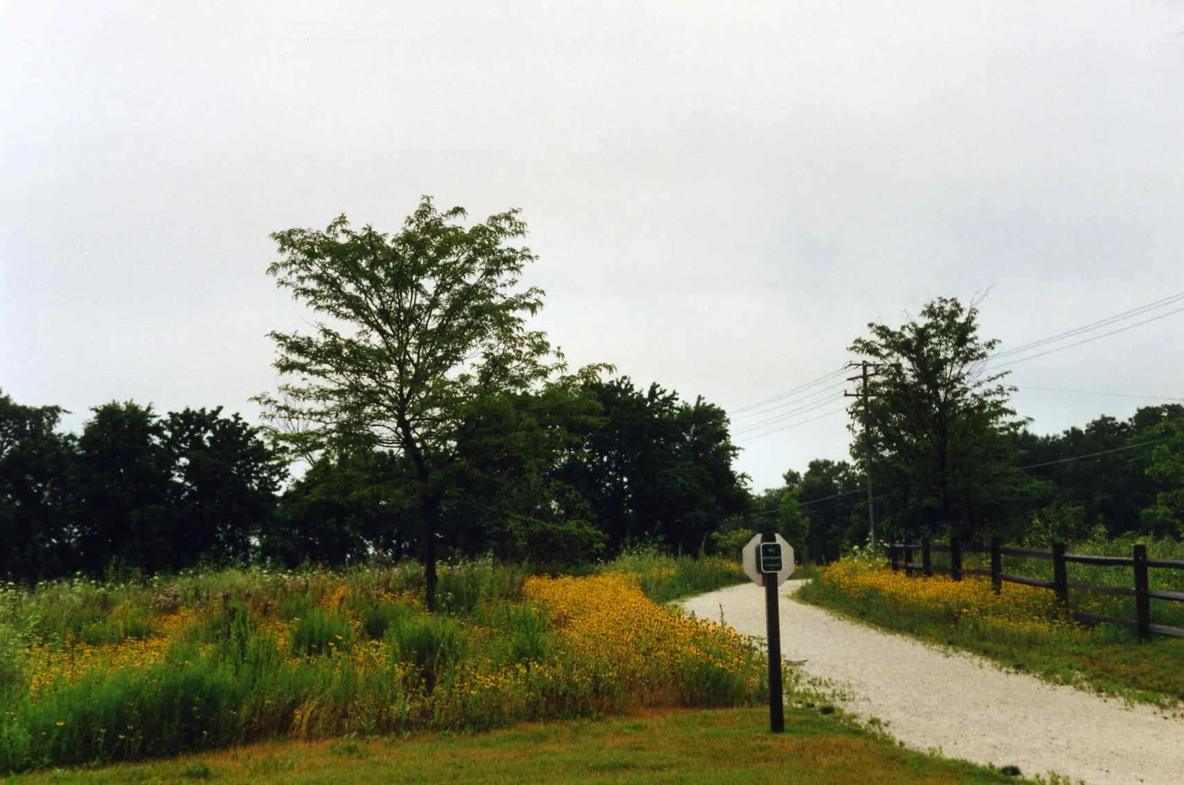 PRAIRIE — Brookside Landscapes