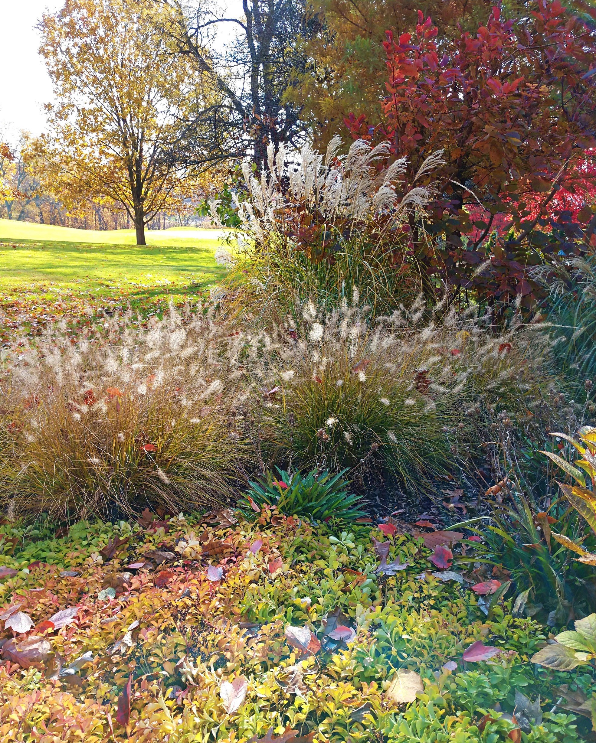 PLANTINGS — Brookside Landscapes