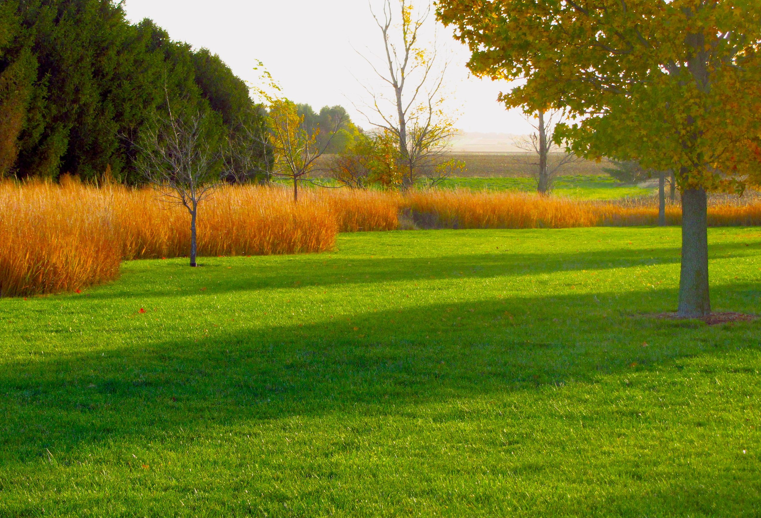 TURFGRASS — Brookside Landscapes