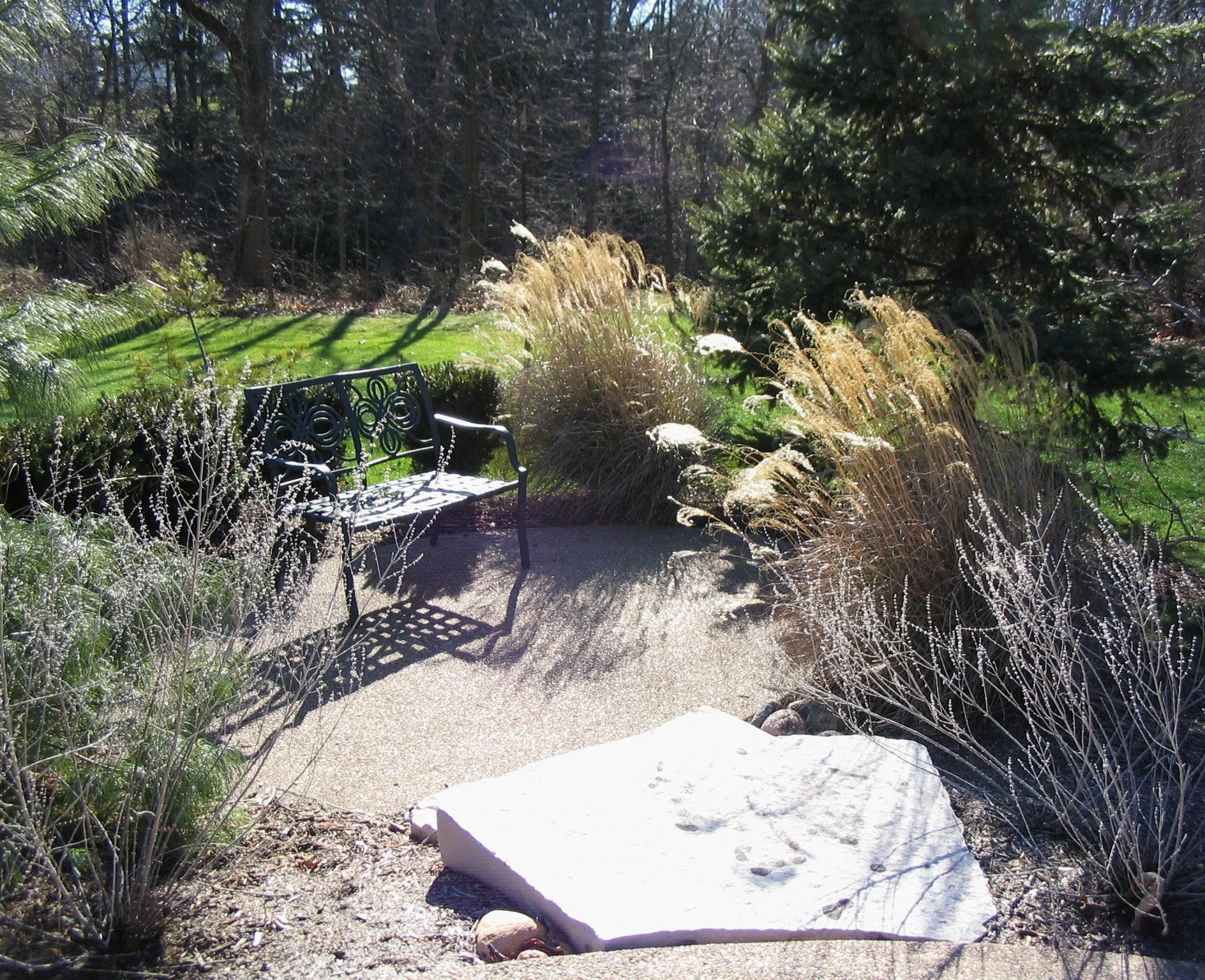 PLANTINGS — Brookside Landscapes