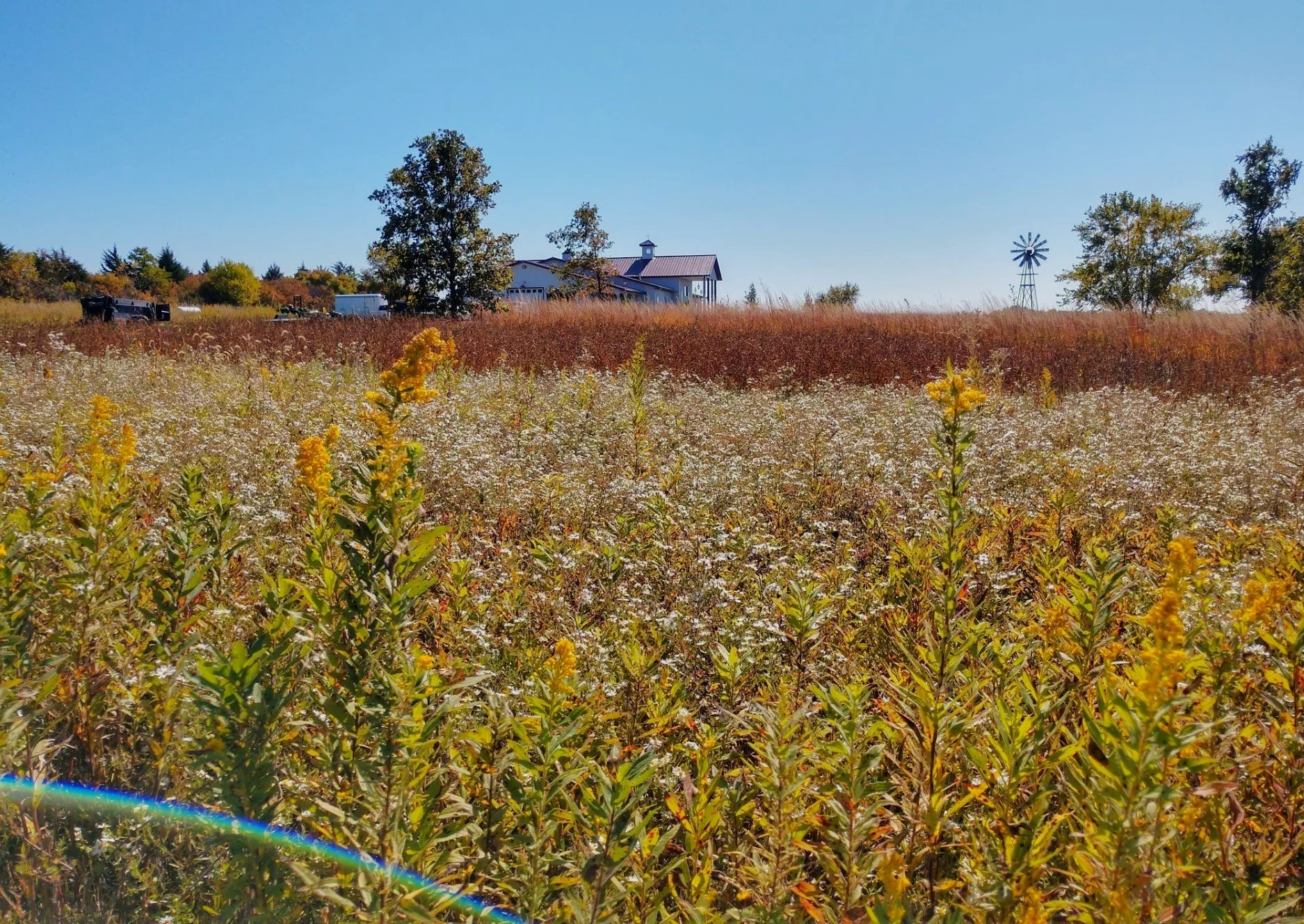 PRAIRIE — Brookside Landscapes