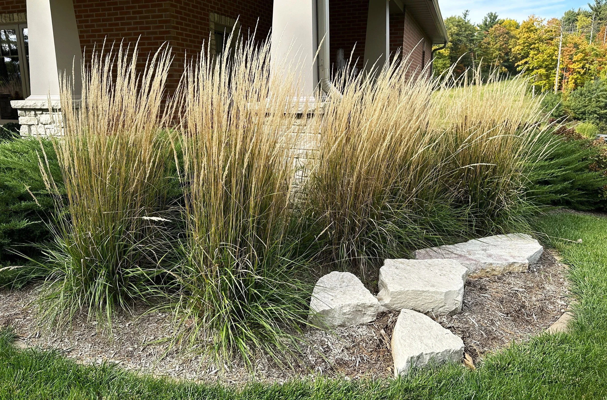 PLANTINGS — Brookside Landscapes