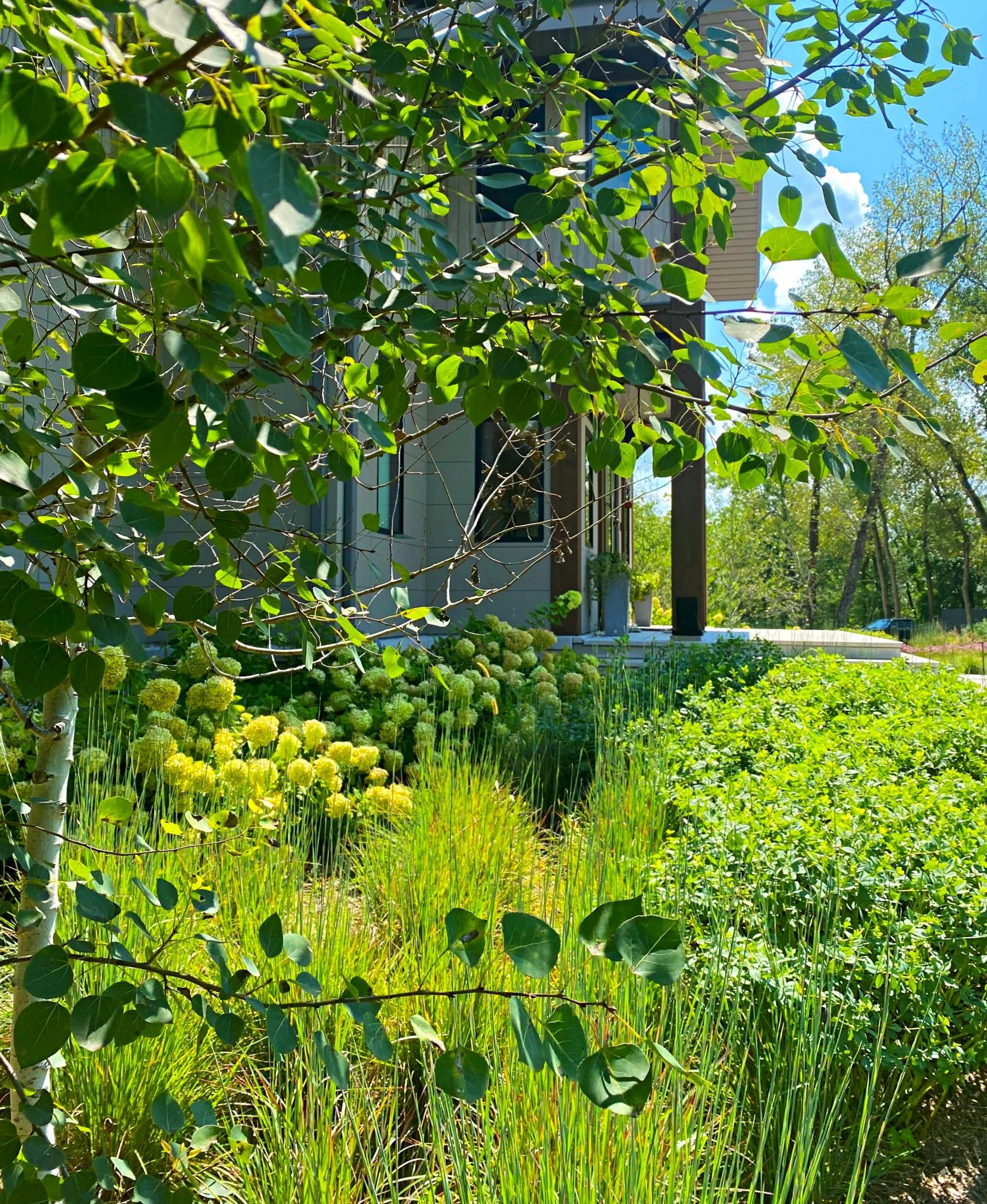 PLANTINGS — Brookside Landscapes