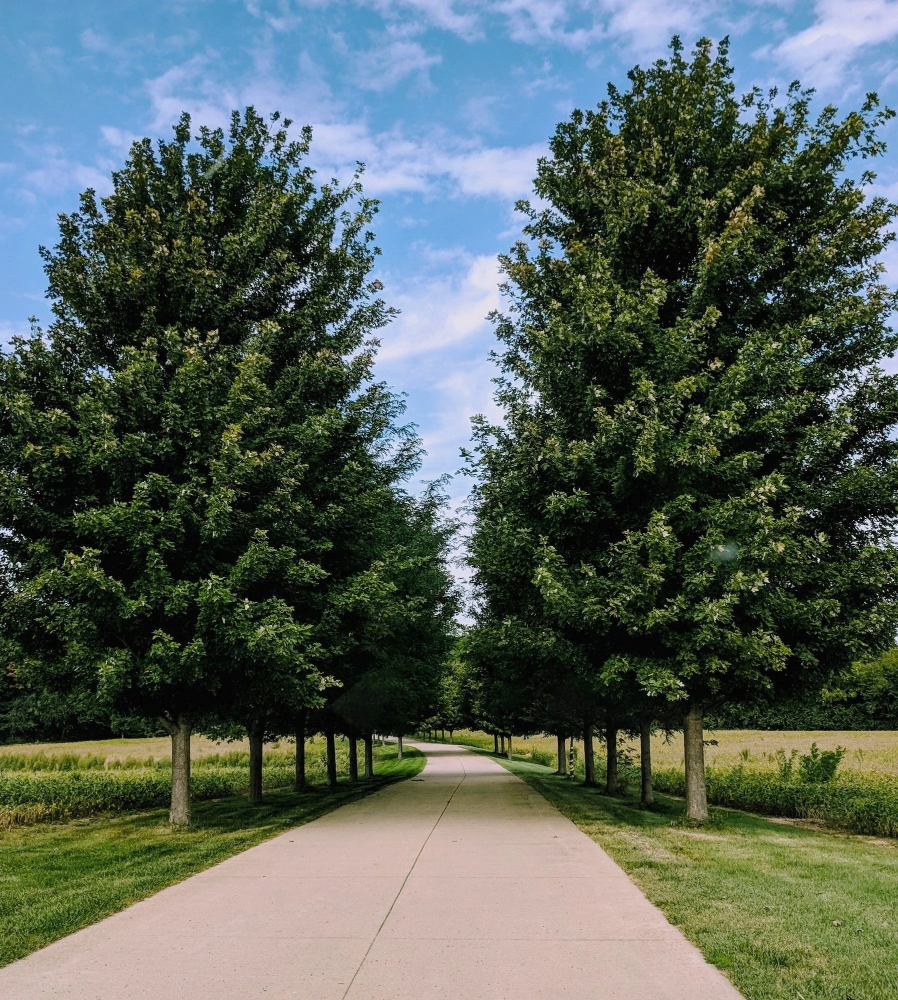 PLANTINGS — Brookside Landscapes