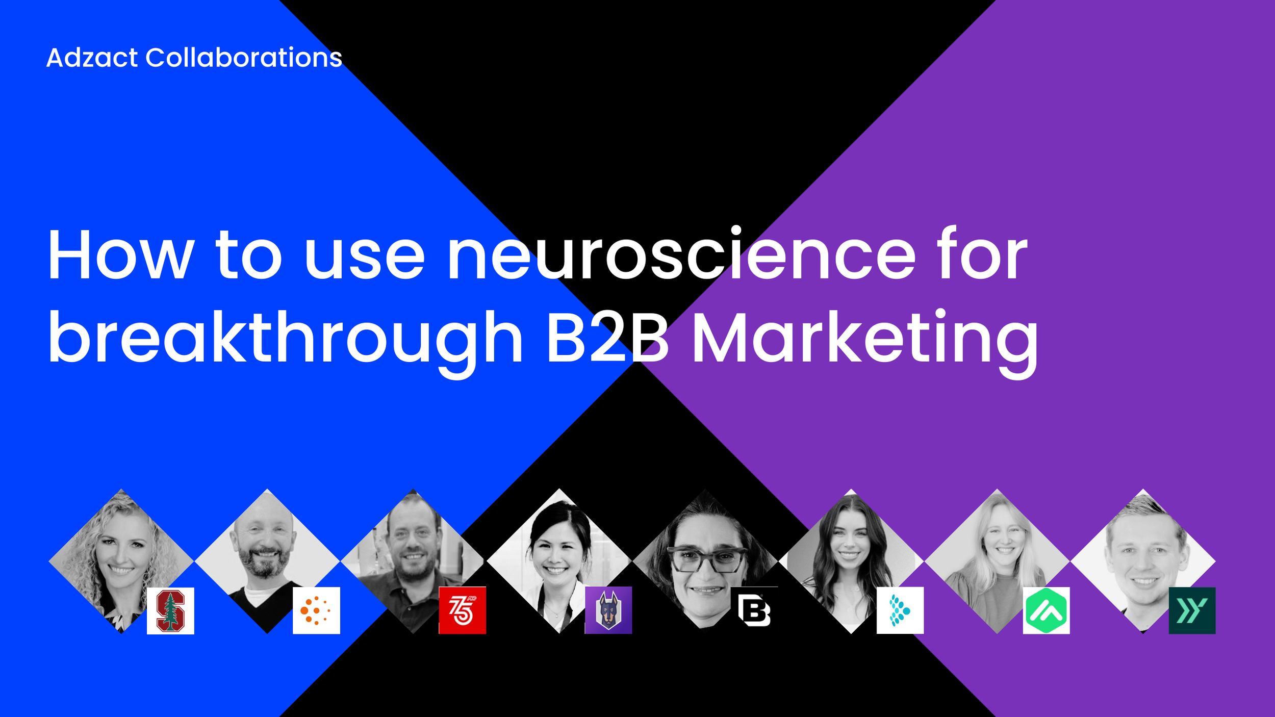 How to use neuroscience for breakthrough B2B Marketing — Adzact