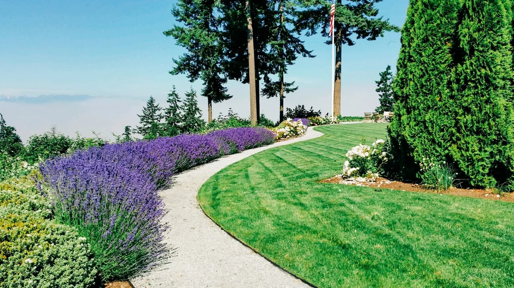 Carlson Landscape LLC