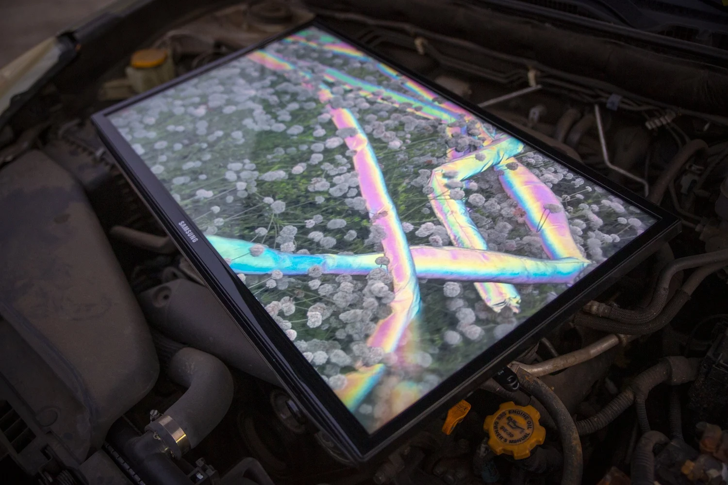 LA / Trunk Show — Tiger Strikes Asteroid