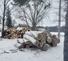 Turning Logs into Lumber: Are You Curious About How An Amish Sawmill ...