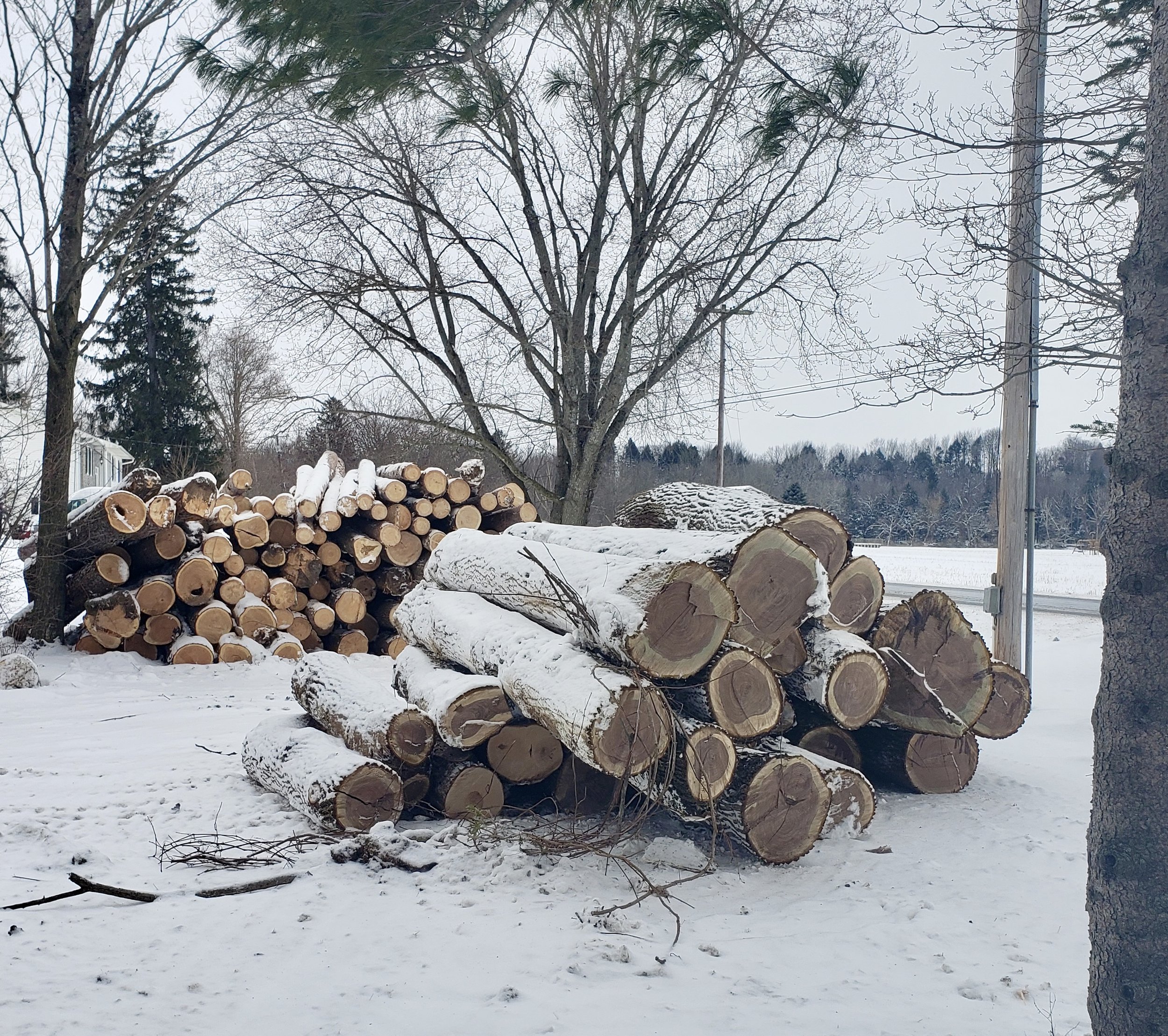 Turning Logs into Lumber: Are You Curious About How An Amish Sawmill ...