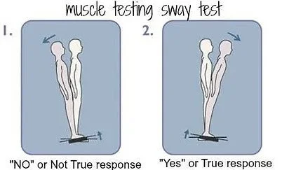 Muscle Testing — Balanced Equine Solutions