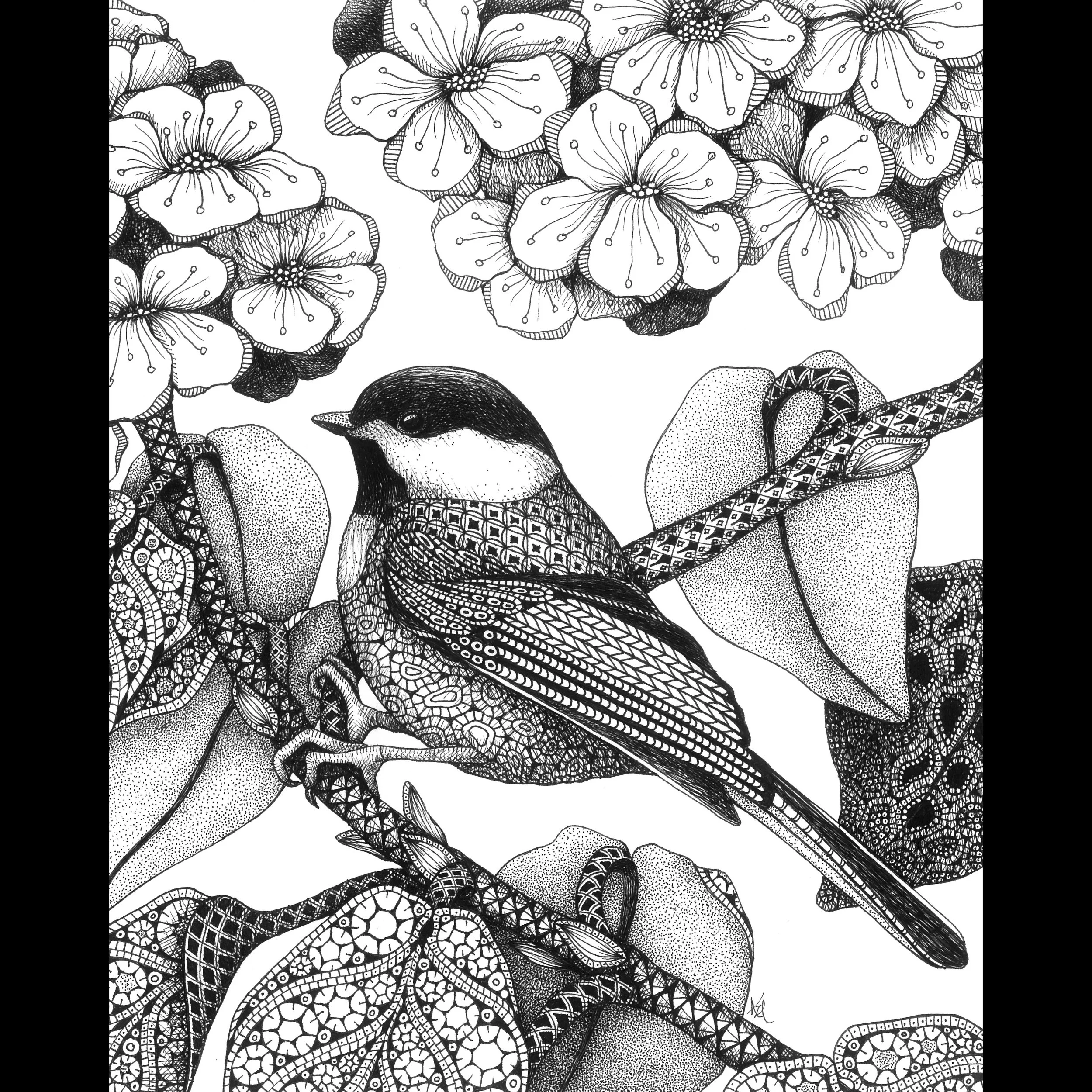 KRISTIN MOGER ART - Store- All work - Chickadee Drawing