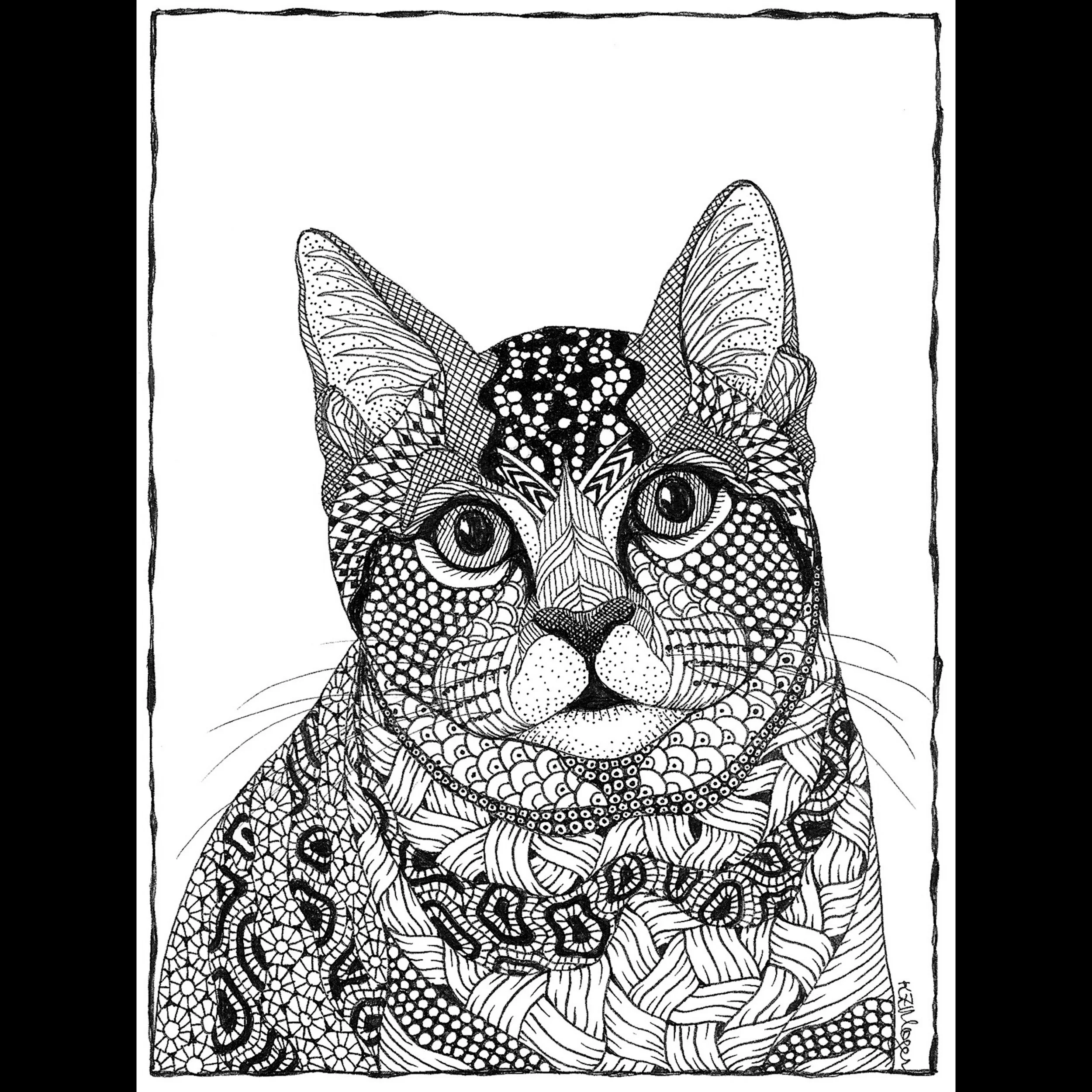 KRISTIN MOGER ART - Store- All work - Tabby Cat Ink Drawing